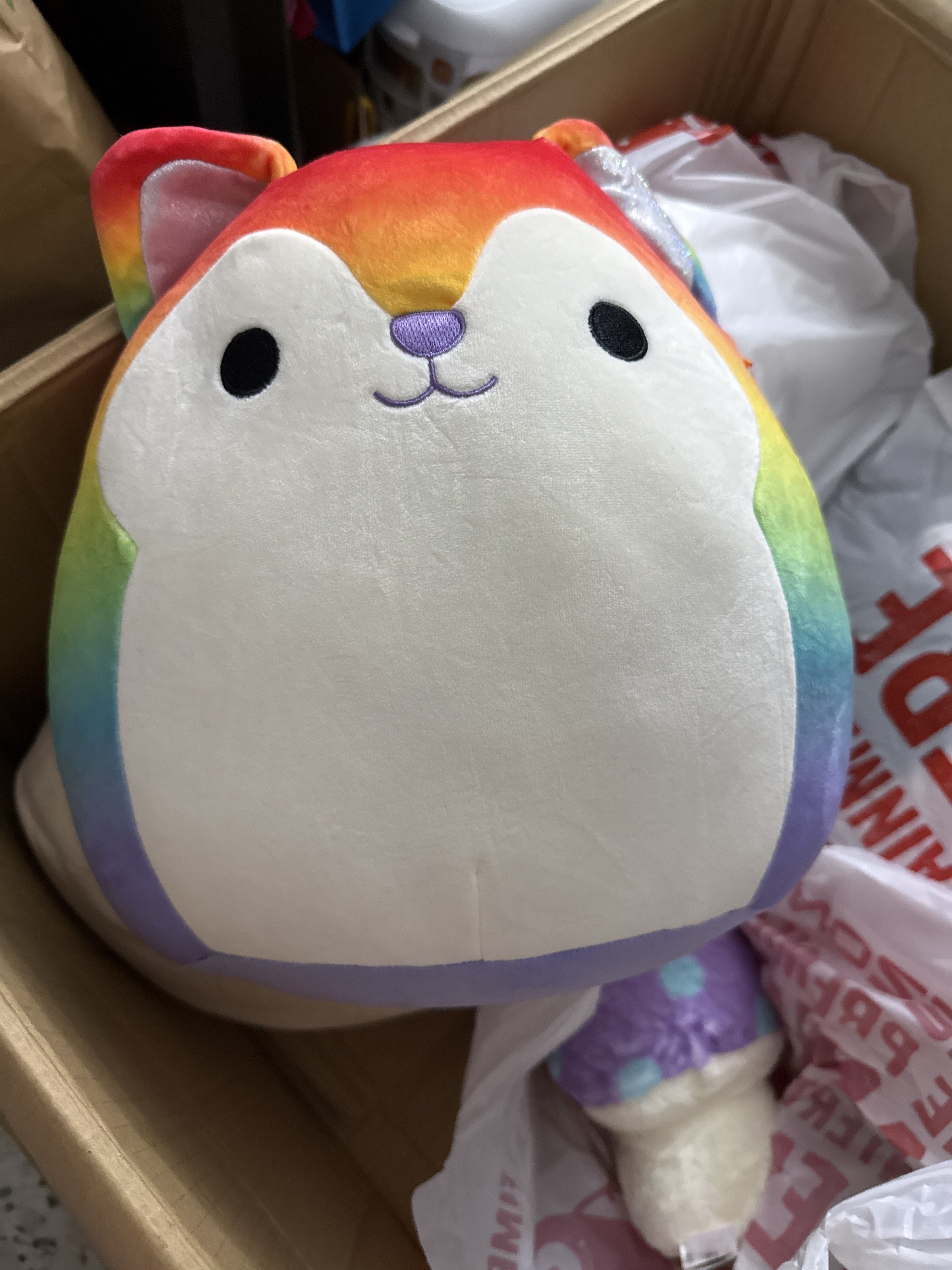 Squishmallows Rainbow Fox Plush Toy, Hobbies & Toys, Toys & Games on ...