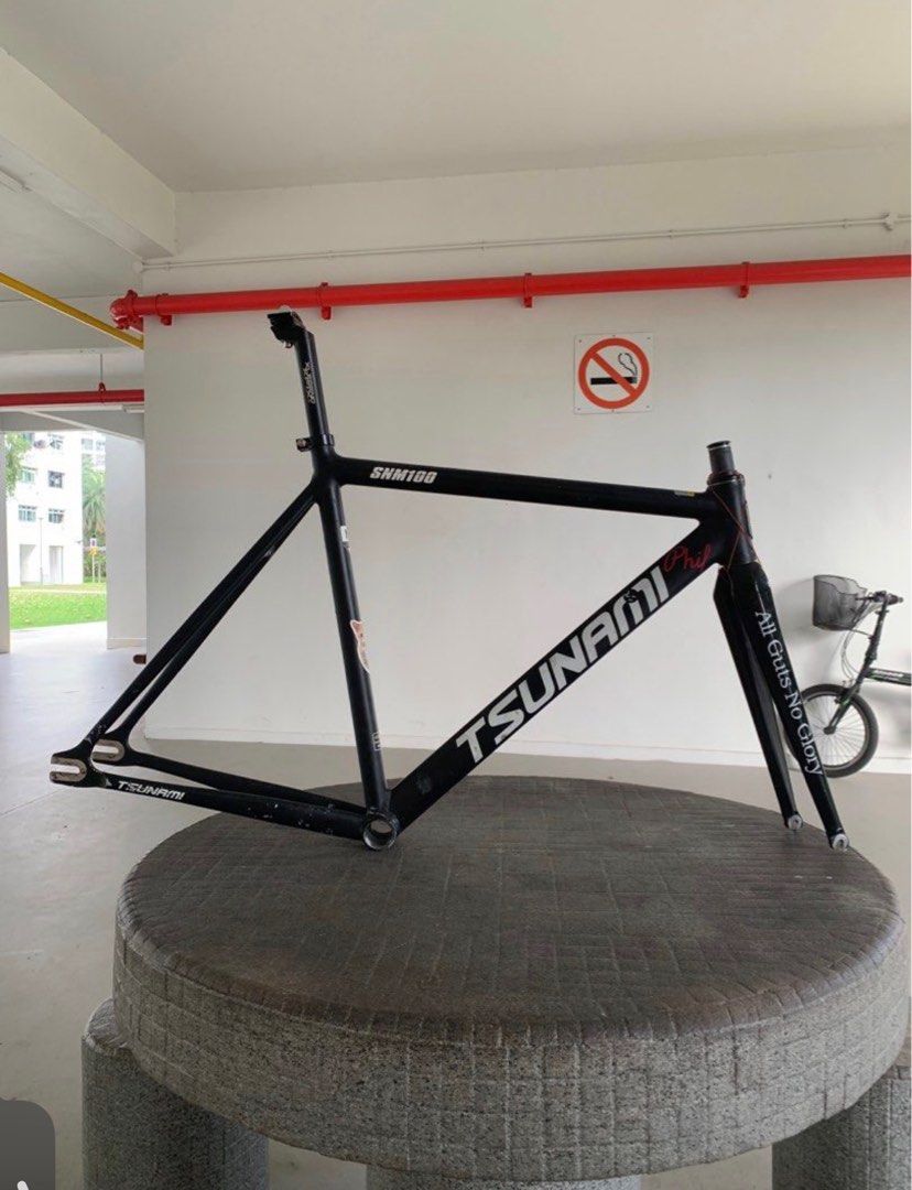 Panda Tsunami Smn100 Wts Wtt, Sports Equipment, Bicycles & Parts, Bicycles on Carousell