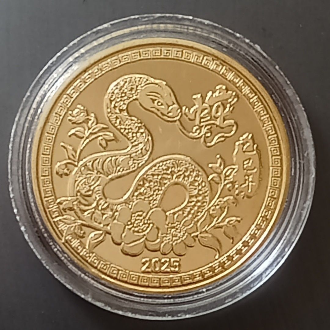 2025 Year of the Snake Commemorative Coin (Temple token), Hobbies ...