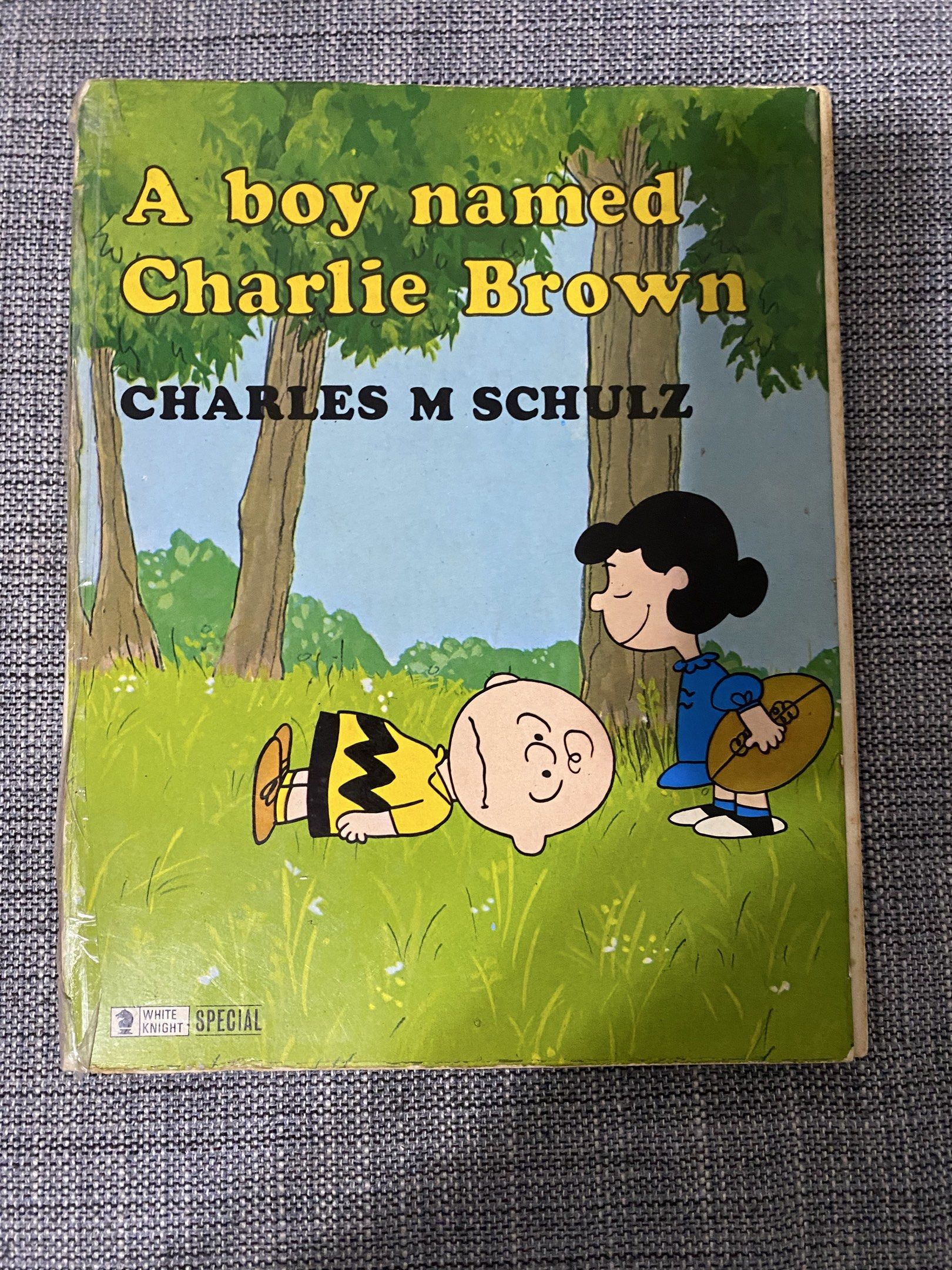 A Boy Named Charlie Brown Book, Hobbies & Toys, Books & Magazines ...
