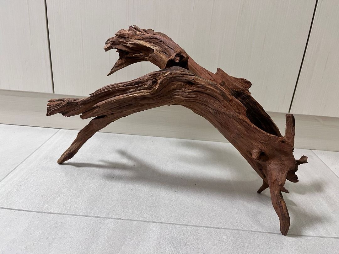 Aquarium Driftwood Fish Tank Arowana Discus Stingray Altum Pleco Tiger ...