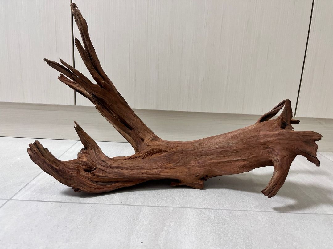 Aquarium Driftwood Fish Tank Arowana Discus Stingray Altum Pleco Tiger ...