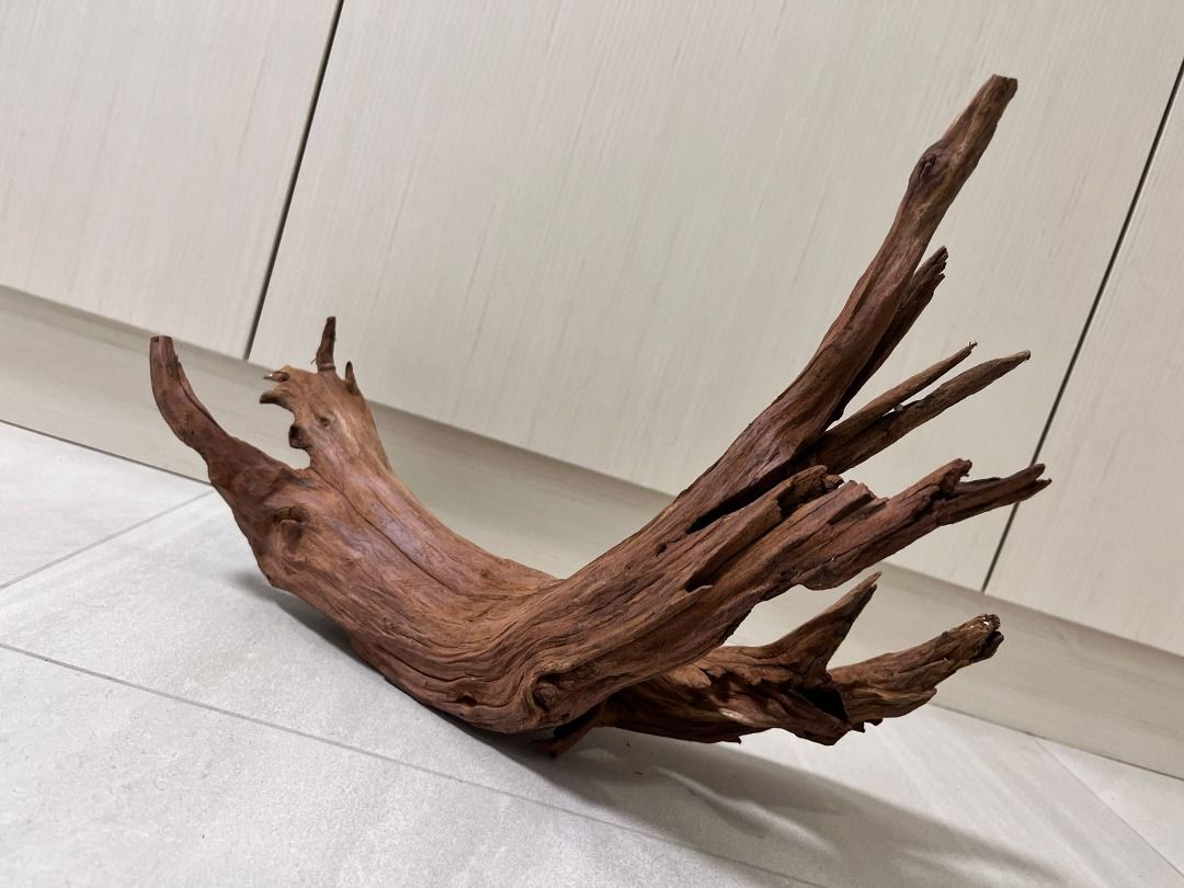 Aquarium Driftwood Fish Tank Arowana Discus Stingray Altum Pleco Tiger ...