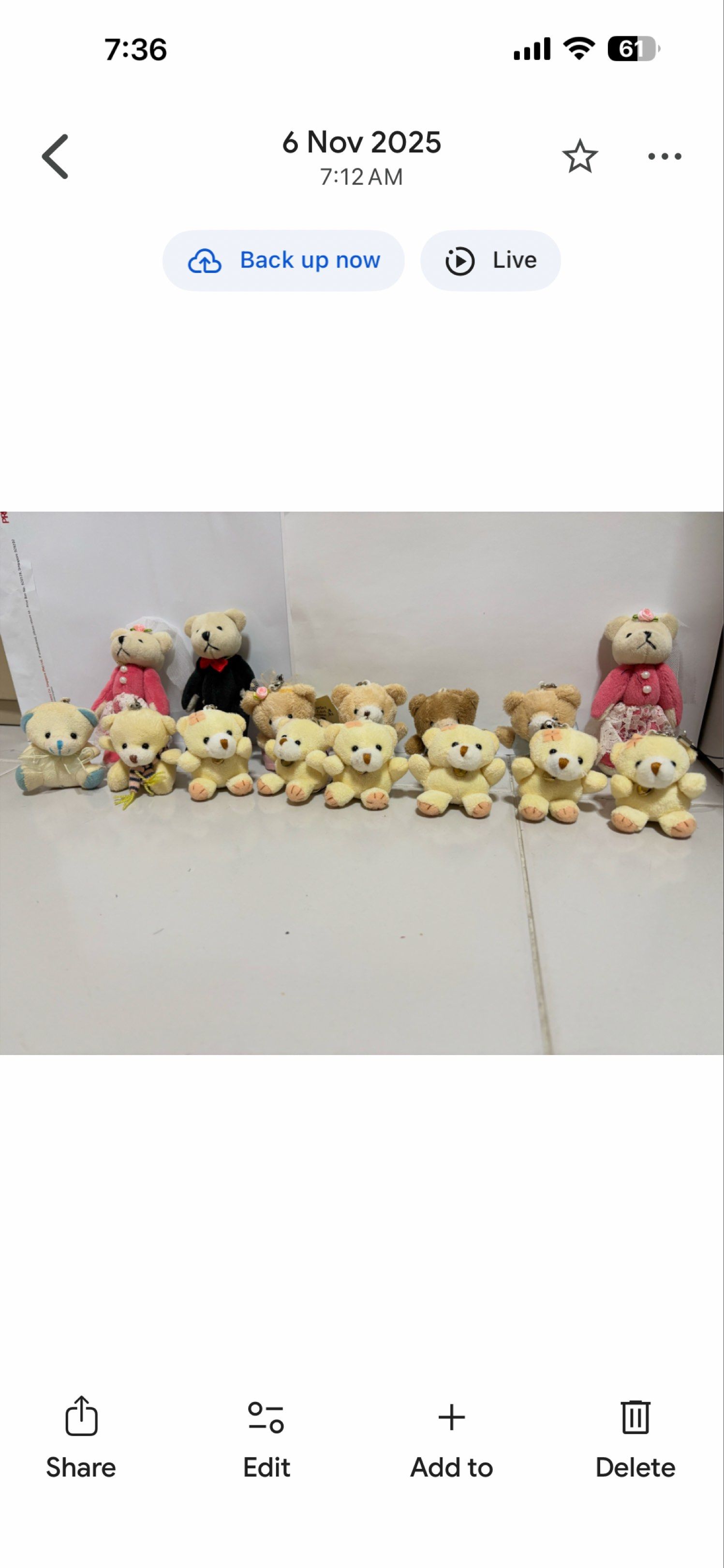 Assorted Teddy Bear Collection, Hobbies & Toys, Toys & Games on Carousell