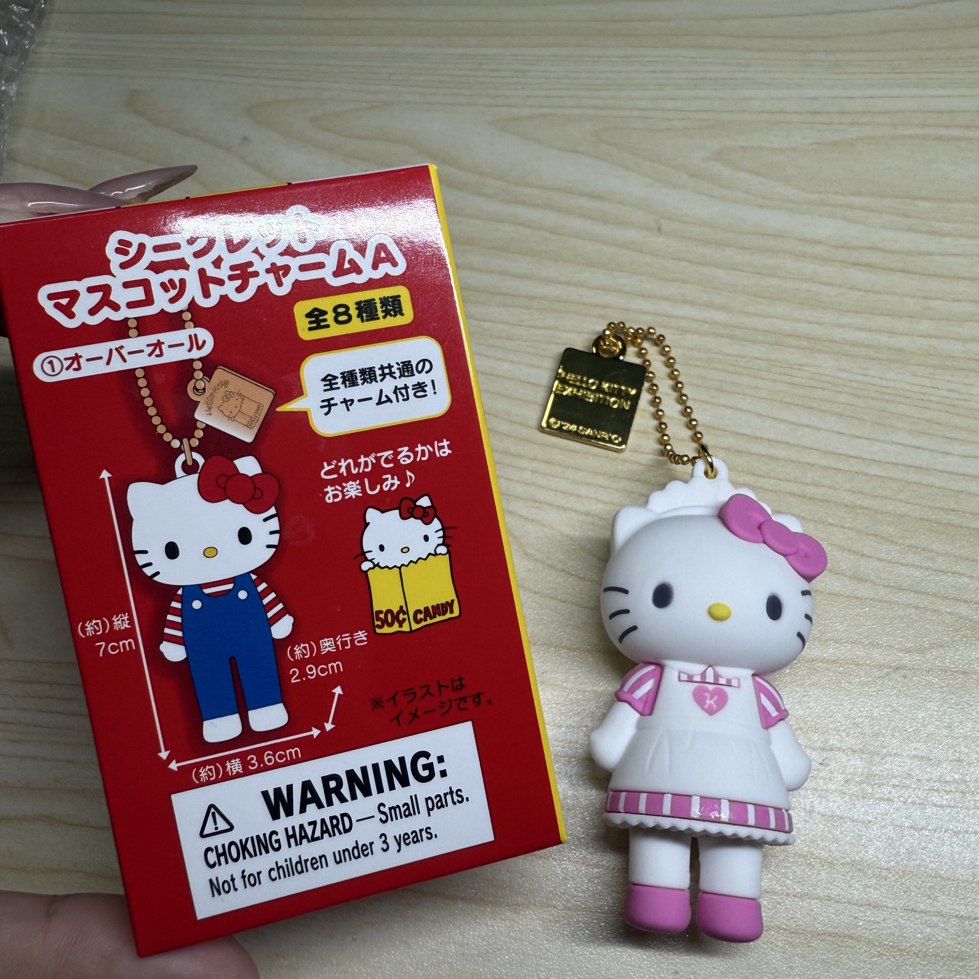 BN Hello Kitty 50th Anniversary Japan Exhibition Exclusive Blind Box ...