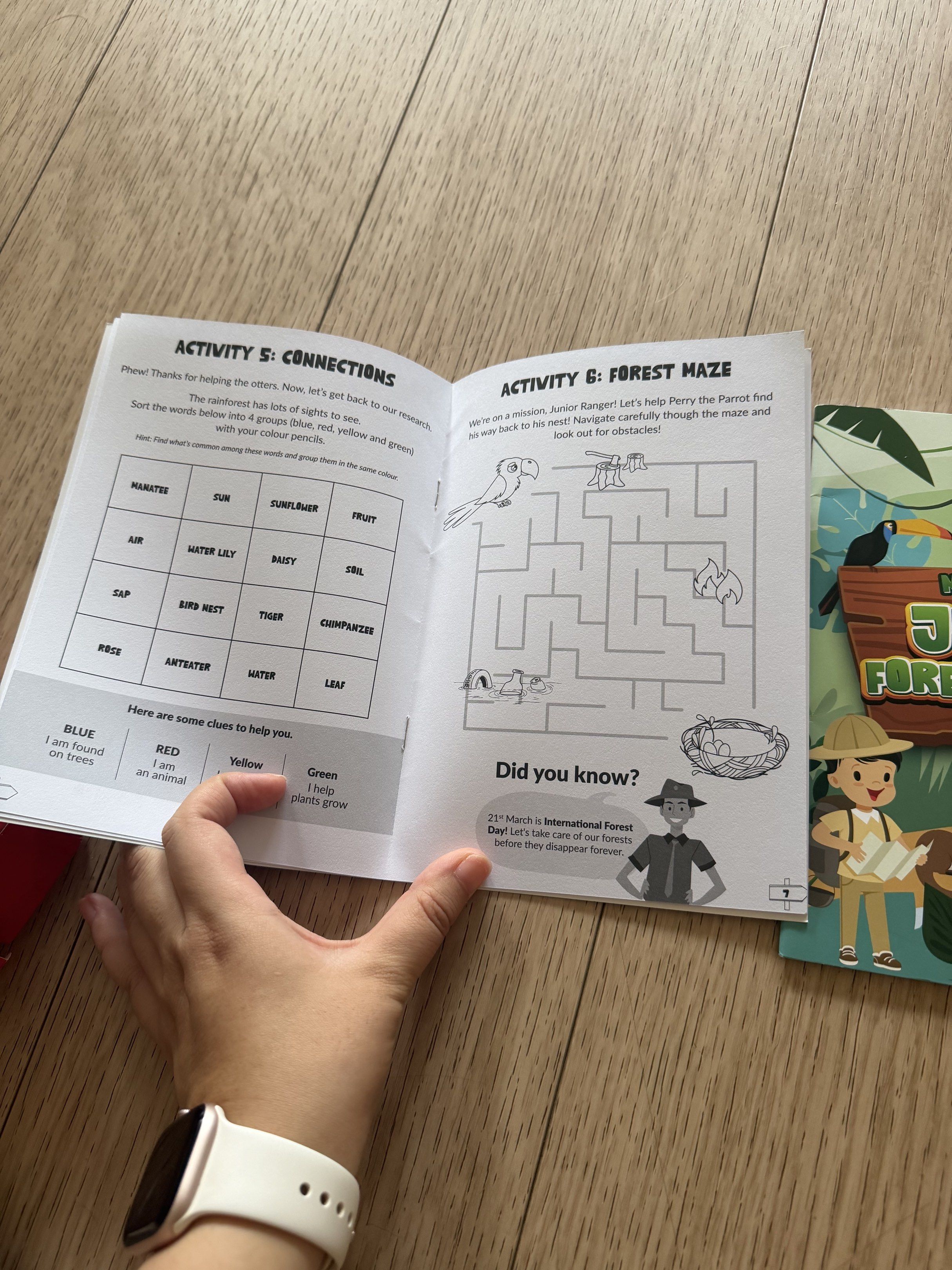 Changi Kids Junior Forest Ranger Activity Book, Hobbies & Toys, Books ...