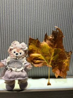 DisneyWorld Monorail Plush with Mickey and Friends, Hobbies & Toys ...