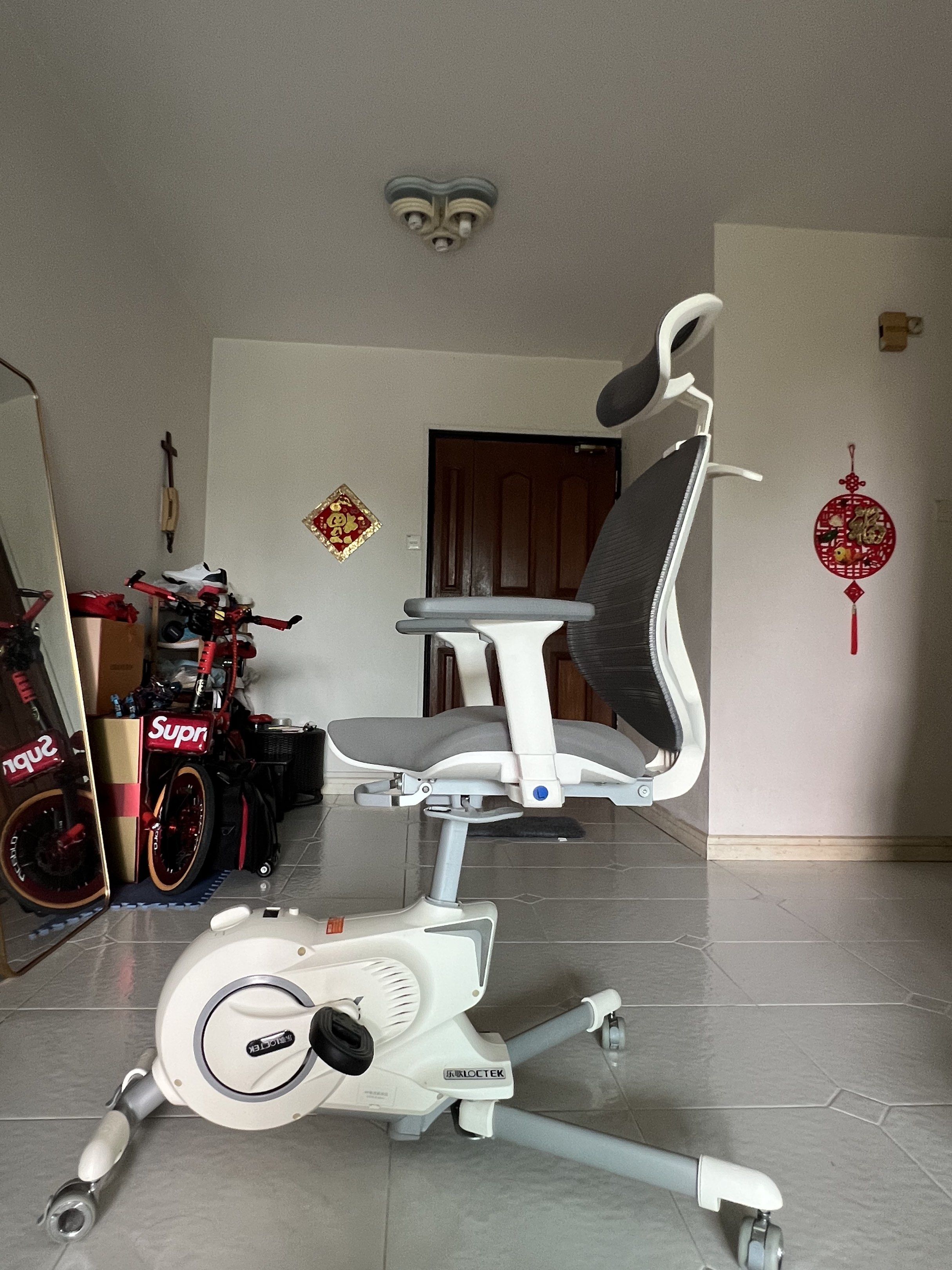 LOCTEK V6 Ergonomic Office Chair with Exercise Function, Furniture ...