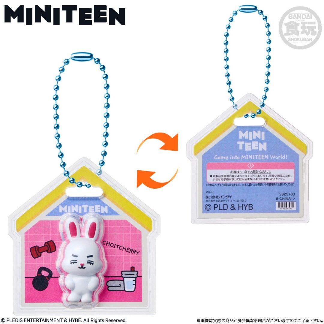 Seventeen Miniteen Keychain - Blind Box, Hobbies & Toys, Memorabilia ...