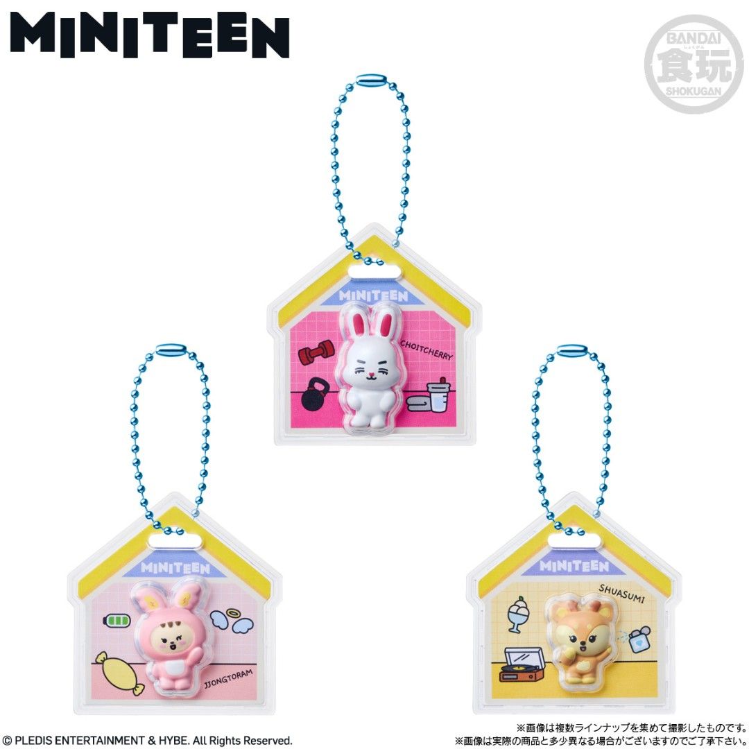 Seventeen Miniteen Keychain - Blind Box, Hobbies & Toys, Memorabilia ...