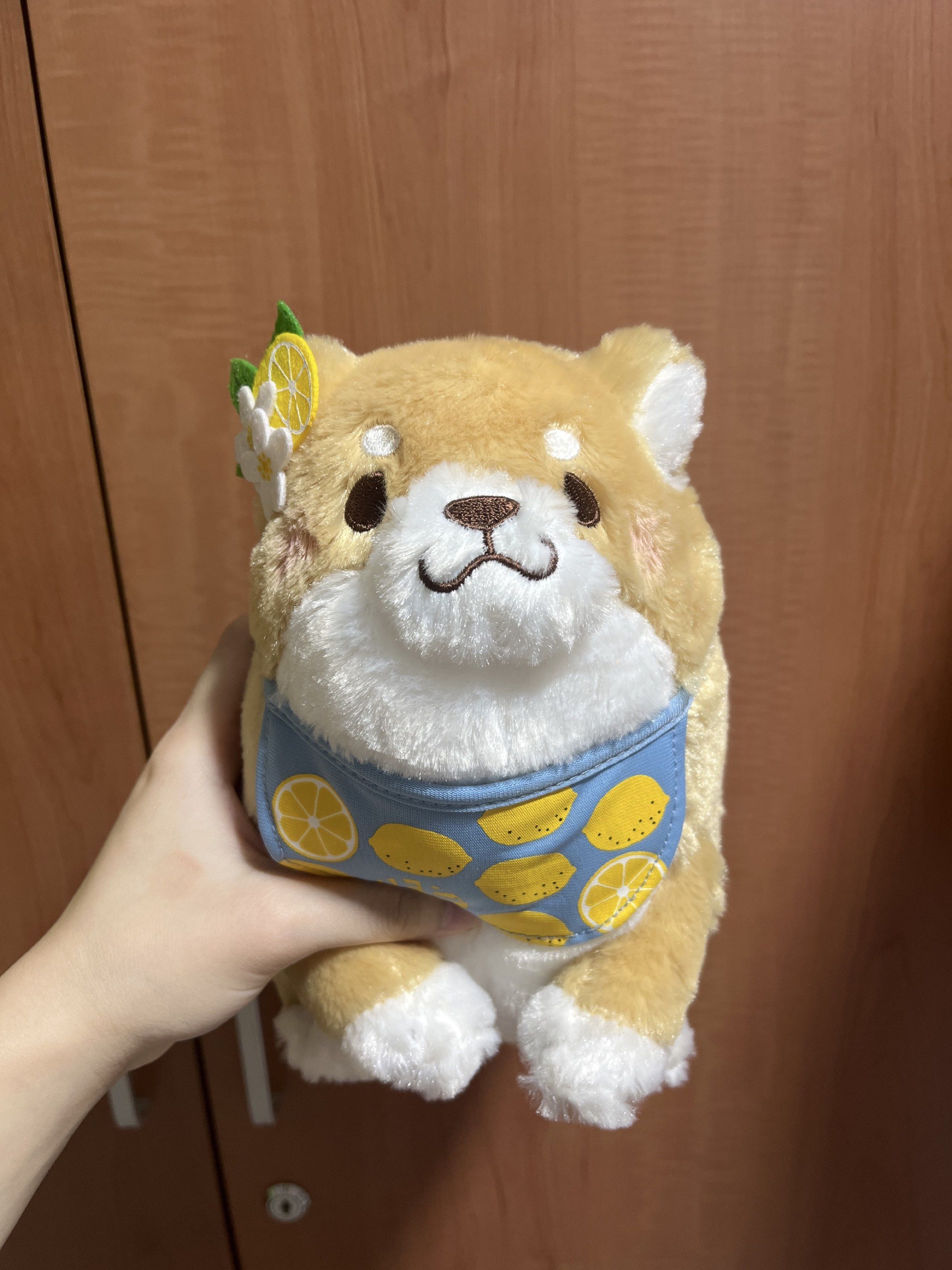 Shiba dog soft toy plushie, Hobbies & Toys, Toys & Games on Carousell