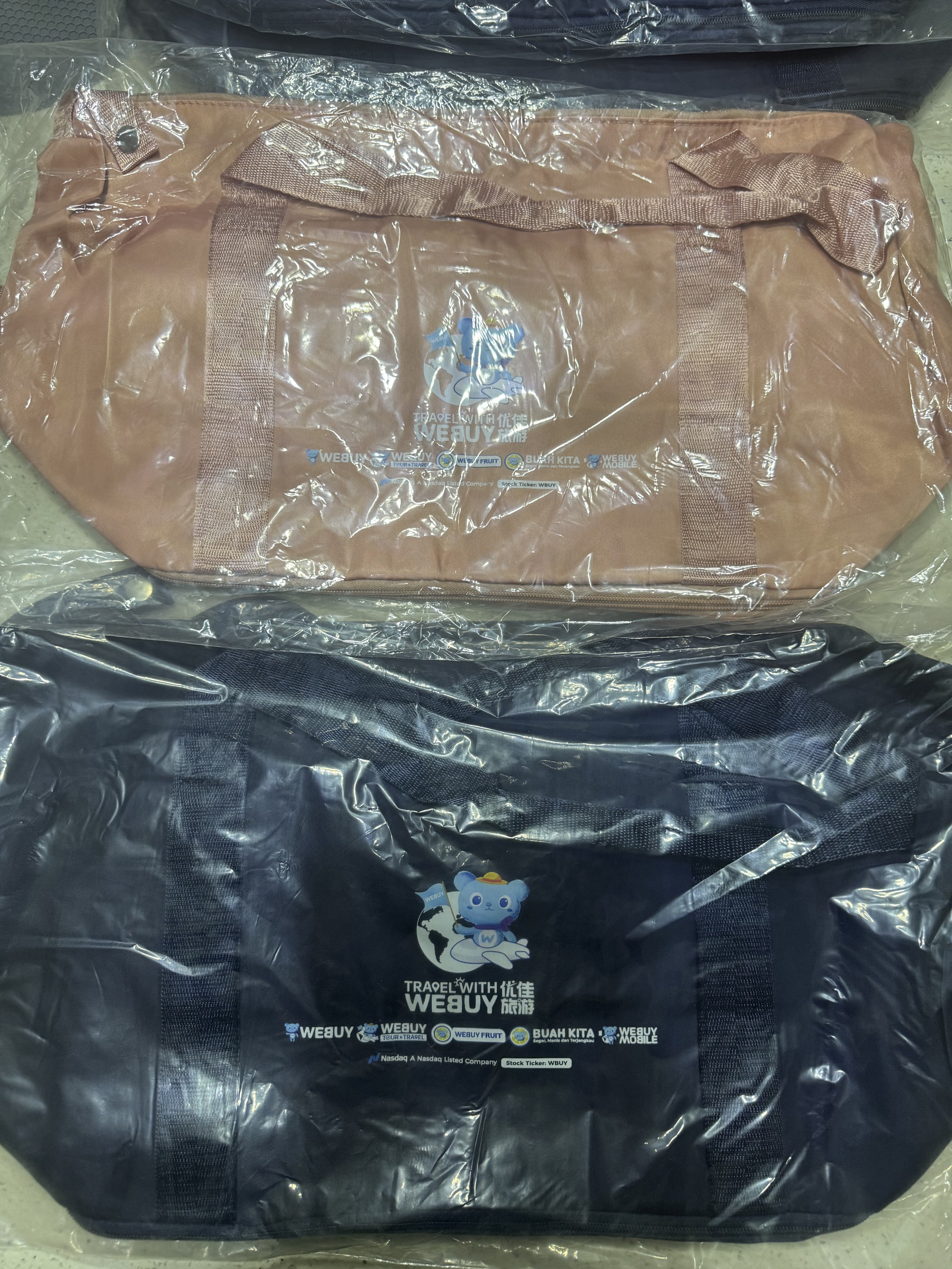 Travel Hand Carry Bag, Hobbies & Toys, Travel, Travel Essentials ...