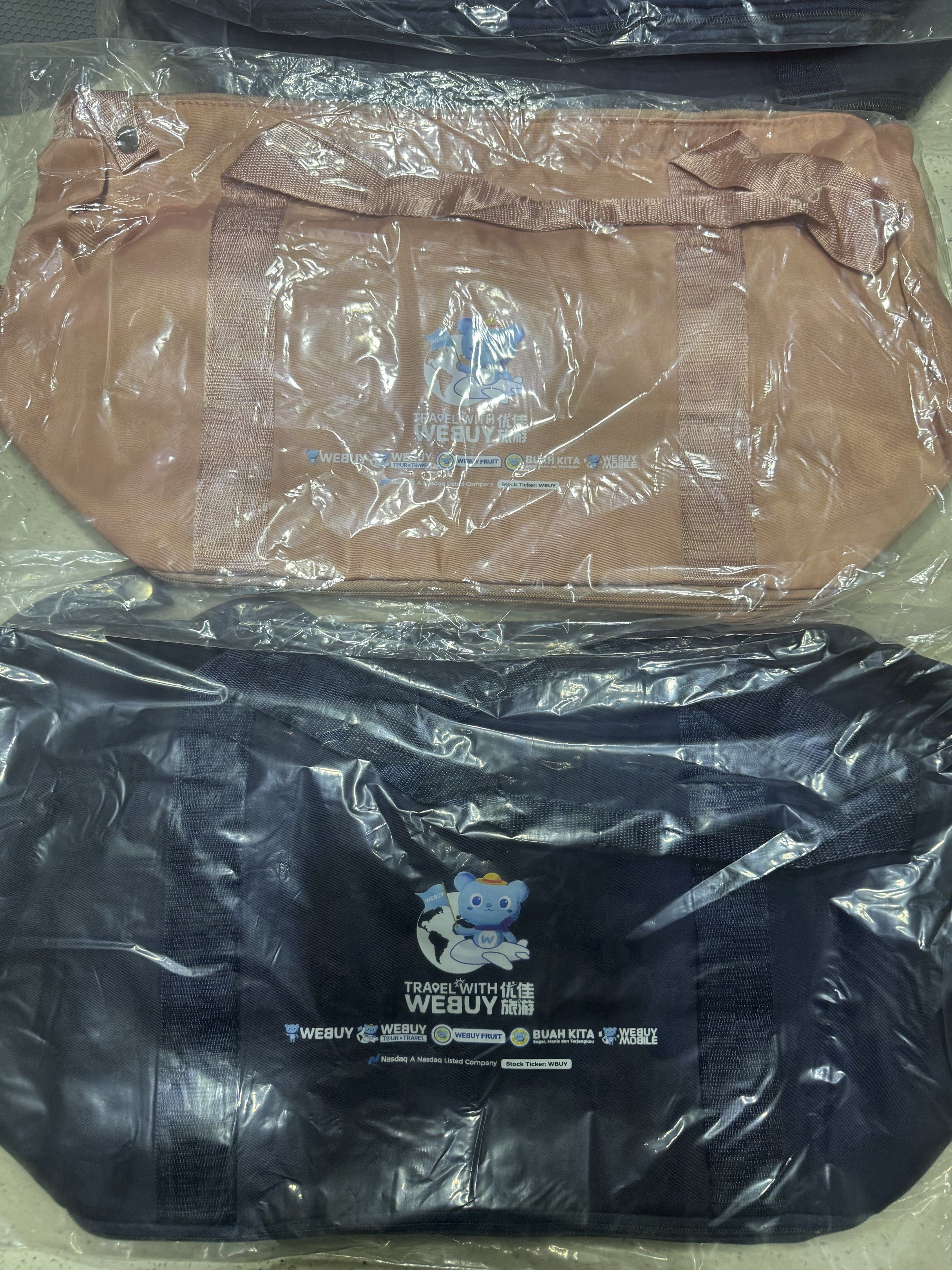 Travel Hand Carry Bag, Hobbies & Toys, Travel, Travel Essentials ...