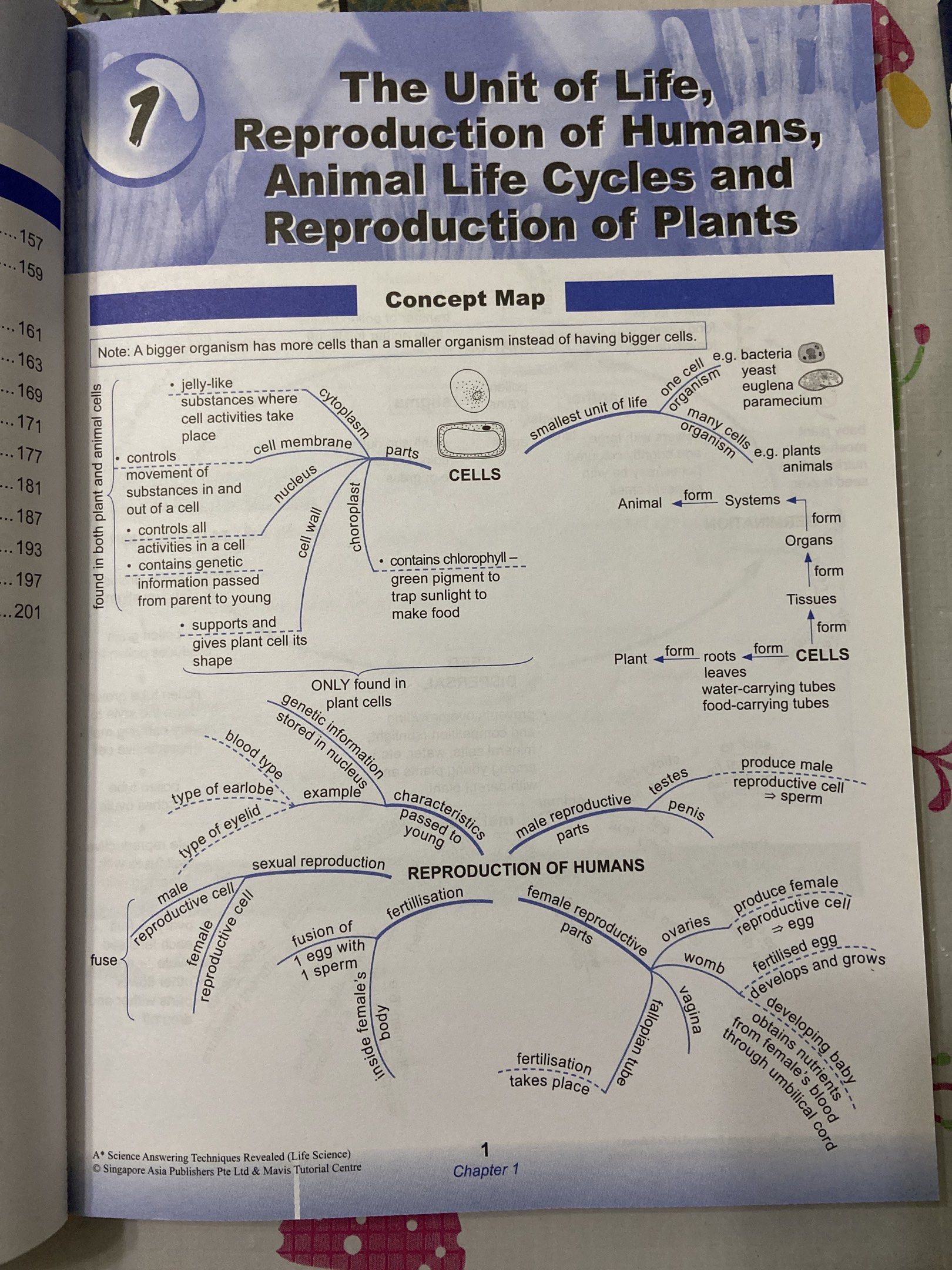 A* Science Answering Techniques Revealed , Hobbies & Toys, Books ...