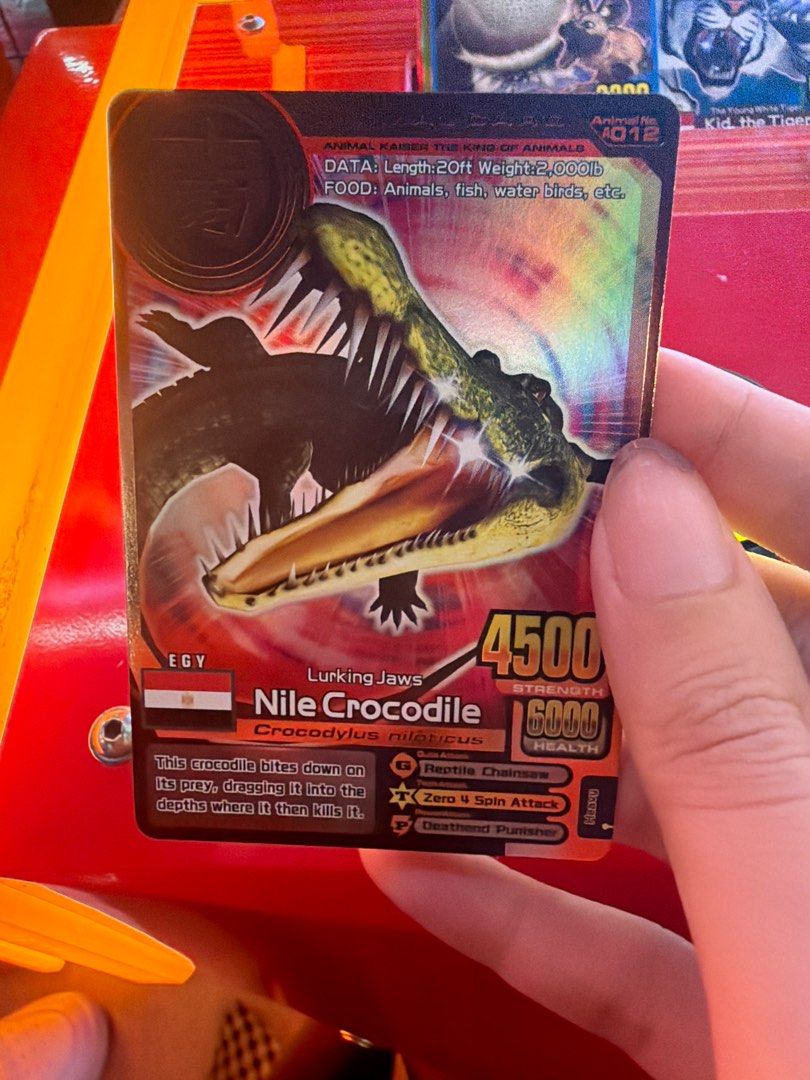 Animal Kaiser Nile Crocodile Trading Card, Hobbies & Toys, Toys & Games ...