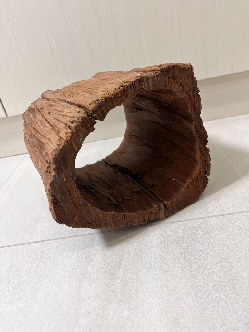 Aquarium Driftwood Fish Tank Pleco Tetra Corydoras Reptile Ball Python ...