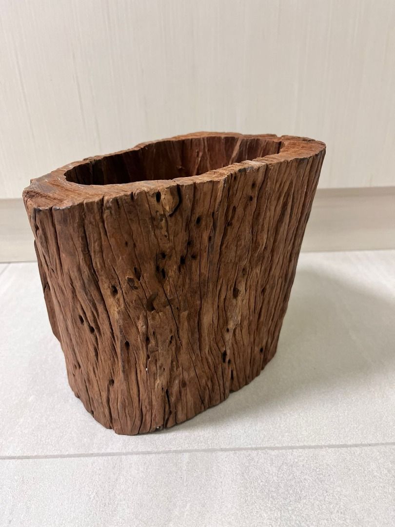 Aquarium Driftwood Fish Tank Pleco Tetra Corydoras Reptile Ball Python ...