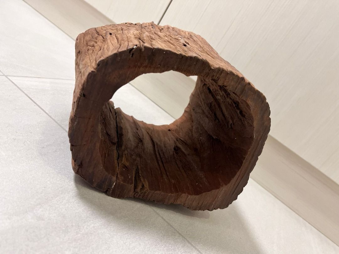 Aquarium Driftwood Fish Tank Pleco Tetra Corydoras Reptile Ball Python ...