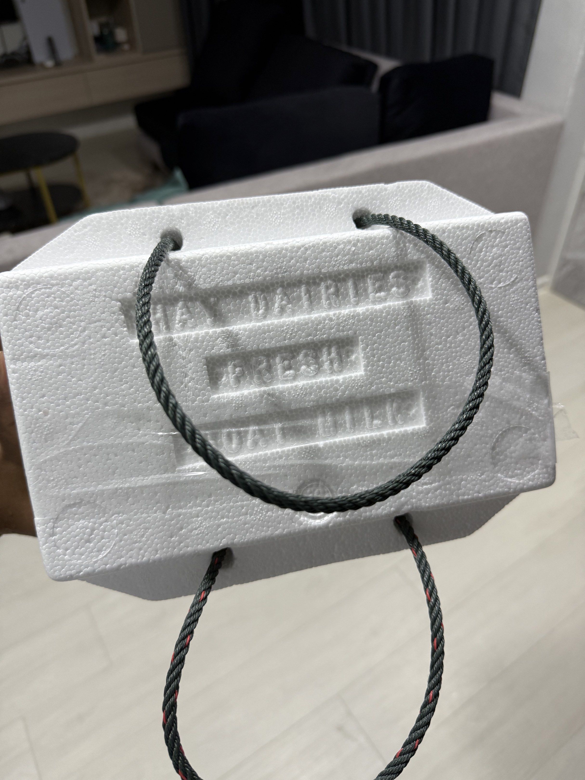 Insulated Box with Handle, Furniture & Home Living, Home Improvement ...