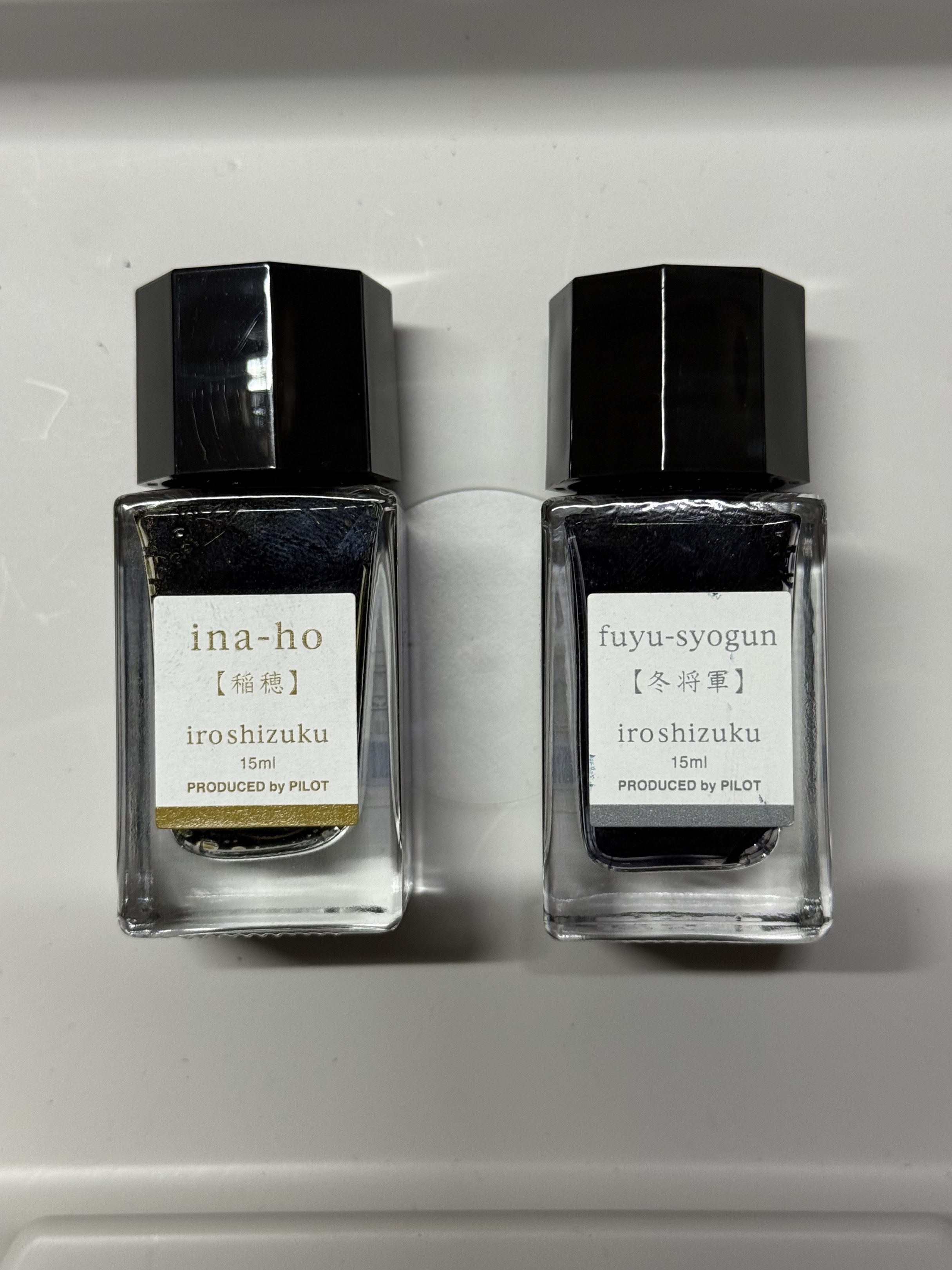 Pilot Iroshizuku Inks - Ina-ho & Fuyu-syogun, Hobbies & Toys ...