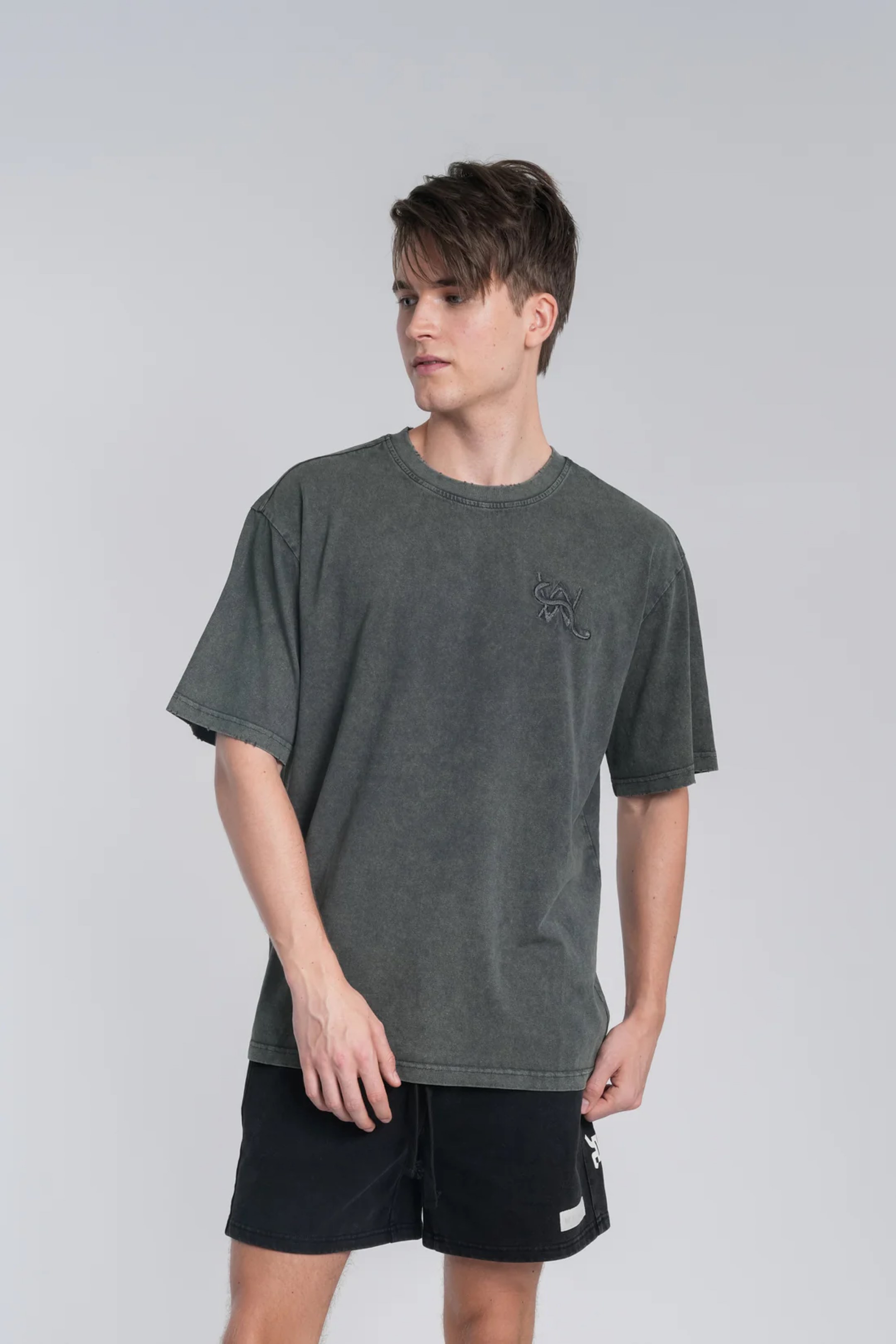 2026官方商品原裝 Alan Walker Snake Logo Tee, 男裝, 上身及套裝, T-shirt、恤衫、有領衫 ...