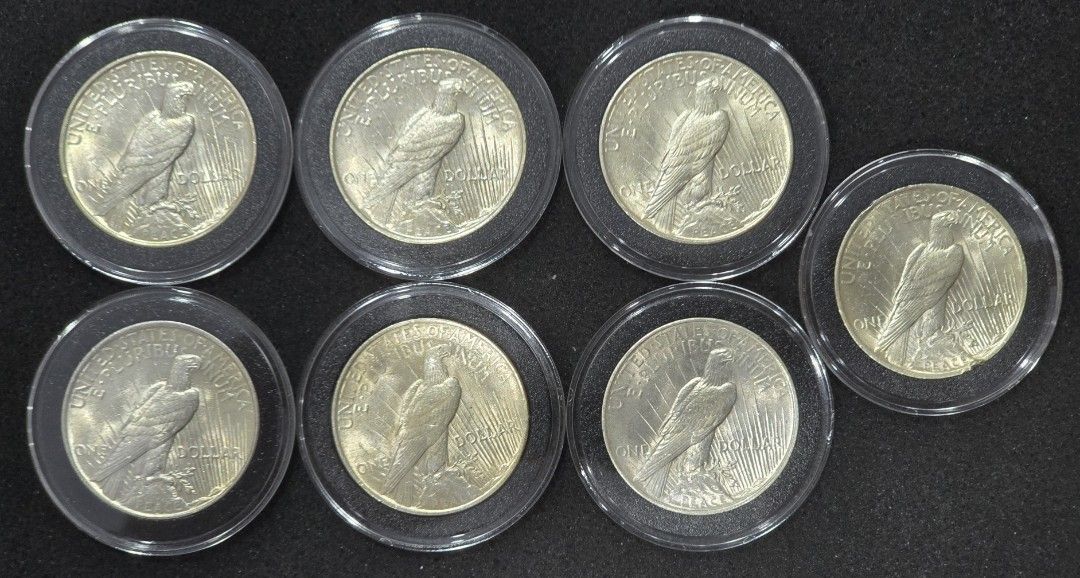 7x 1924 USA Peace Dollar, Hobbies & Toys, Memorabilia & Collectibles ...