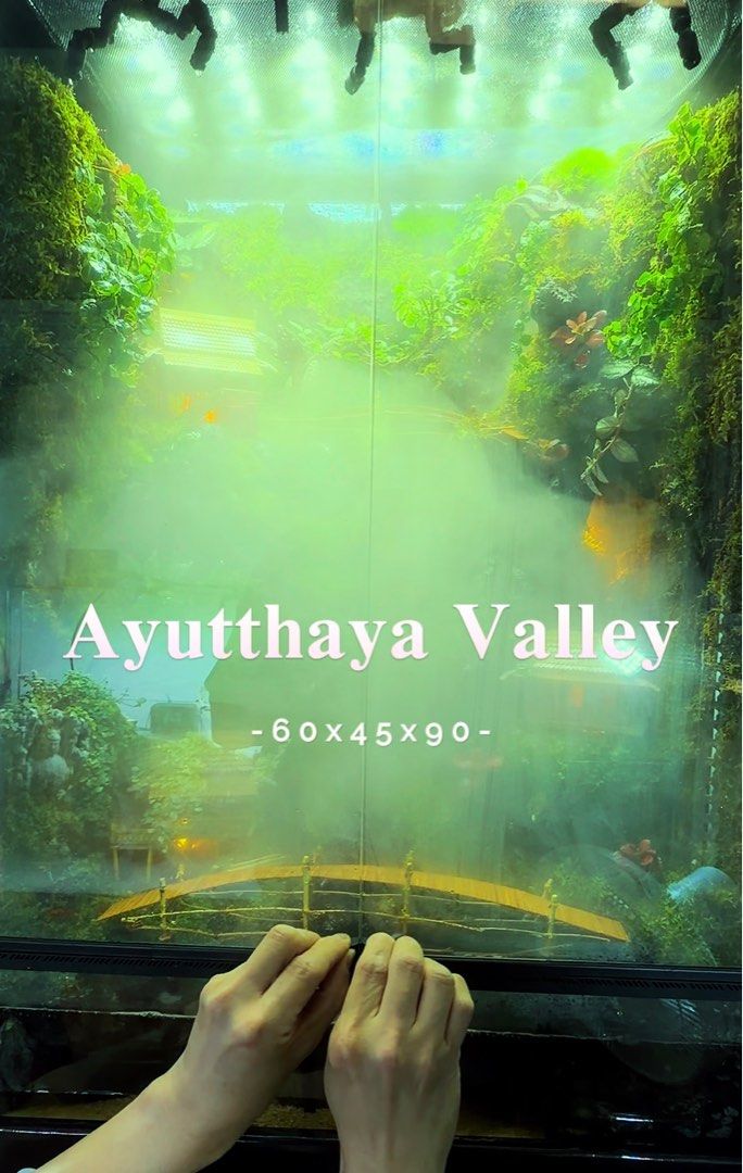 Ayutthaya Valley – Thai Forest Paludarium, Pet Supplies, Homes & Other ...