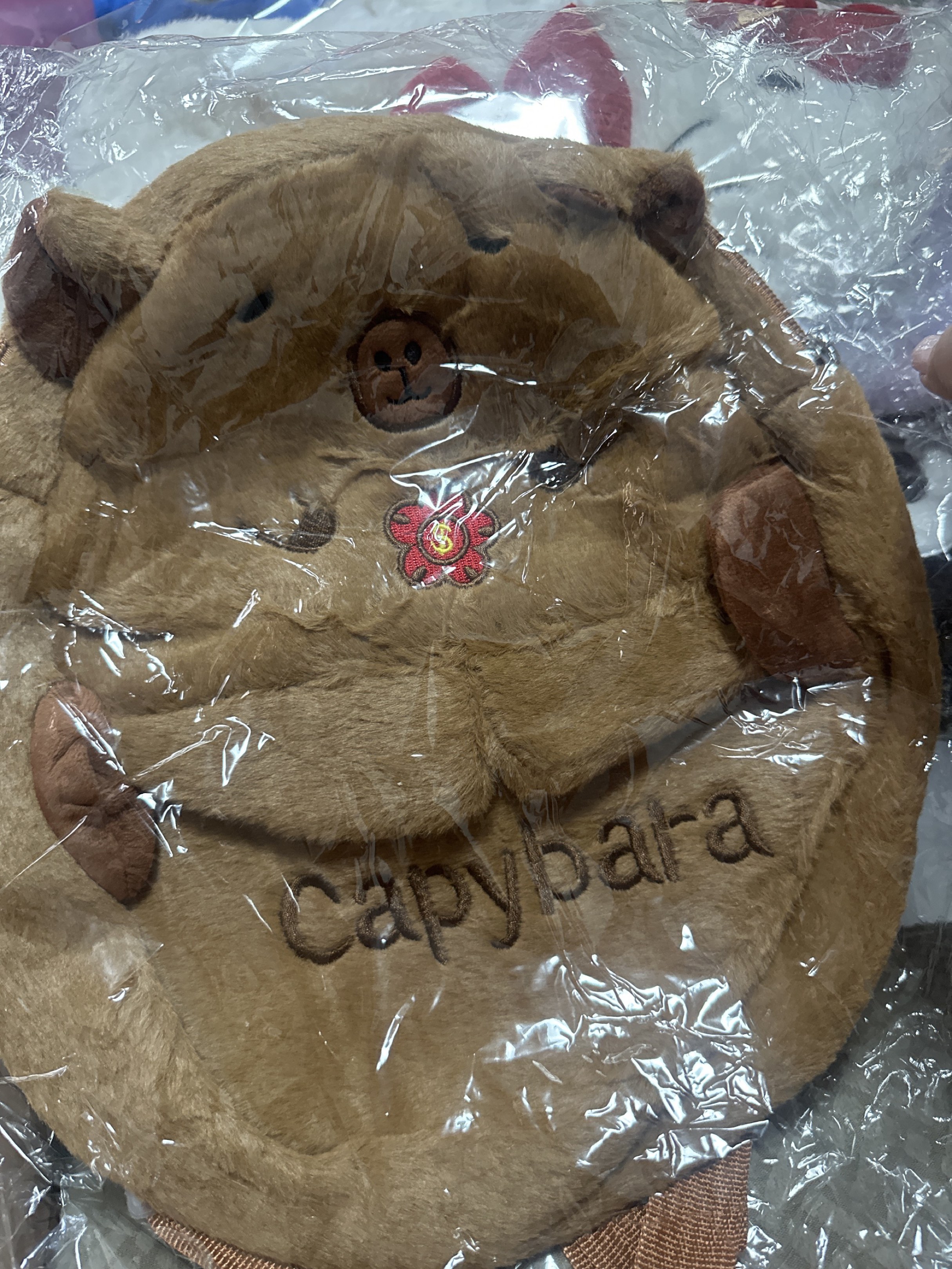Capybara back pack, Babies & Kids, Babies & Kids Fashion on Carousell