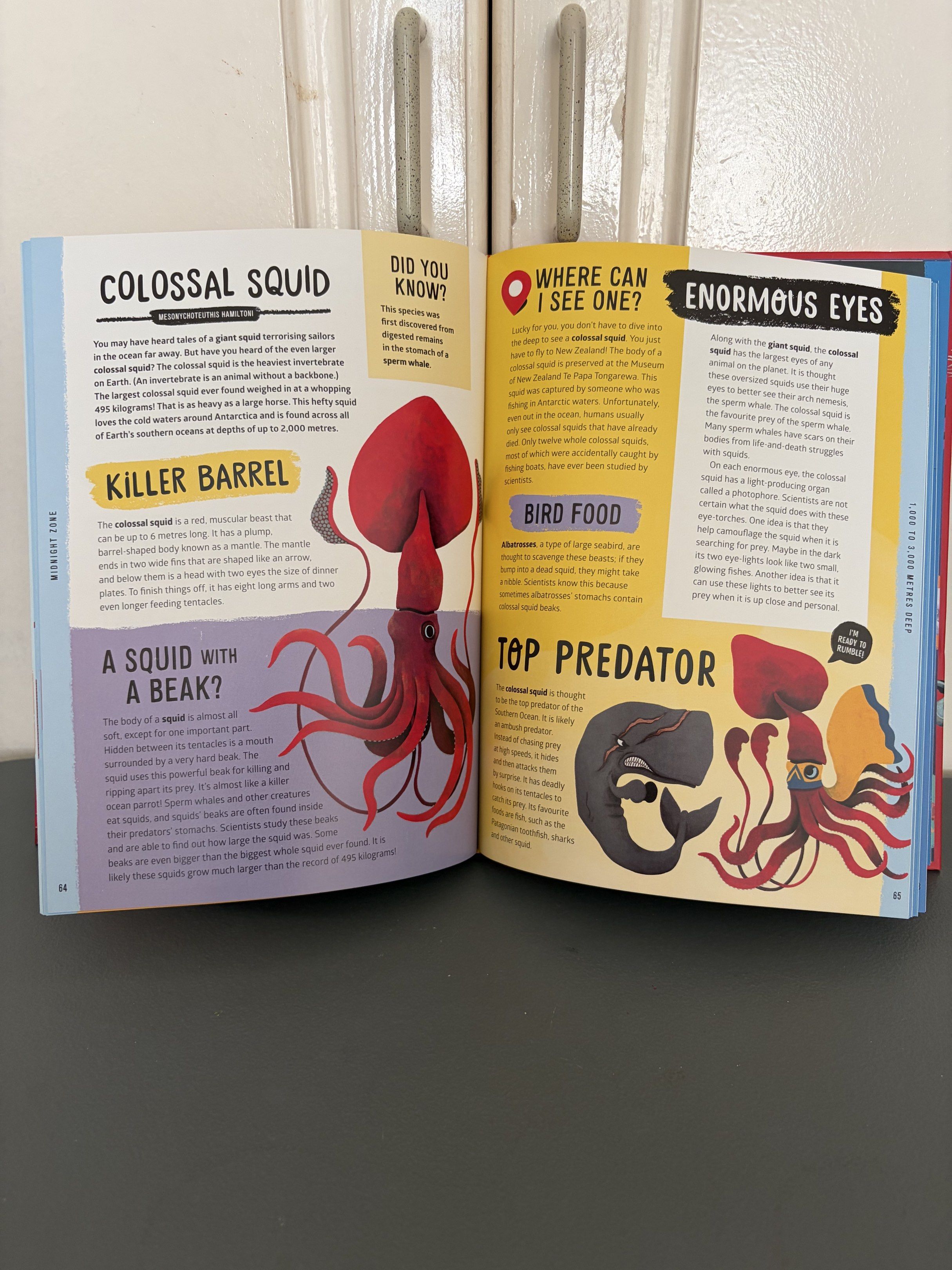 Deep Dive Into Deep Sea by Tim Flannery, Hobbies & Toys, Books ...