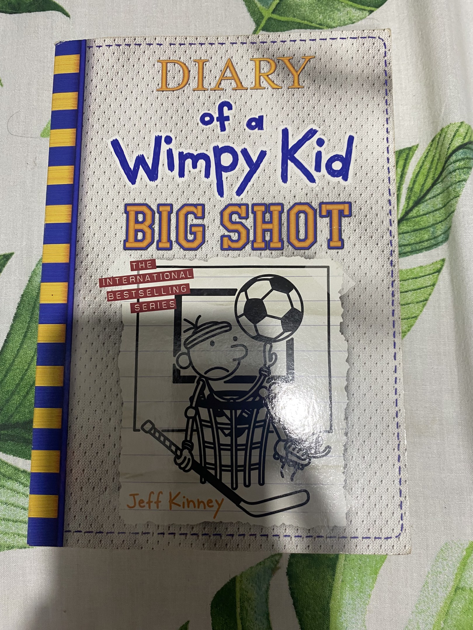 Diary of a Wimpy Kid Book 16, Hobbies & Toys, Books & Magazines ...
