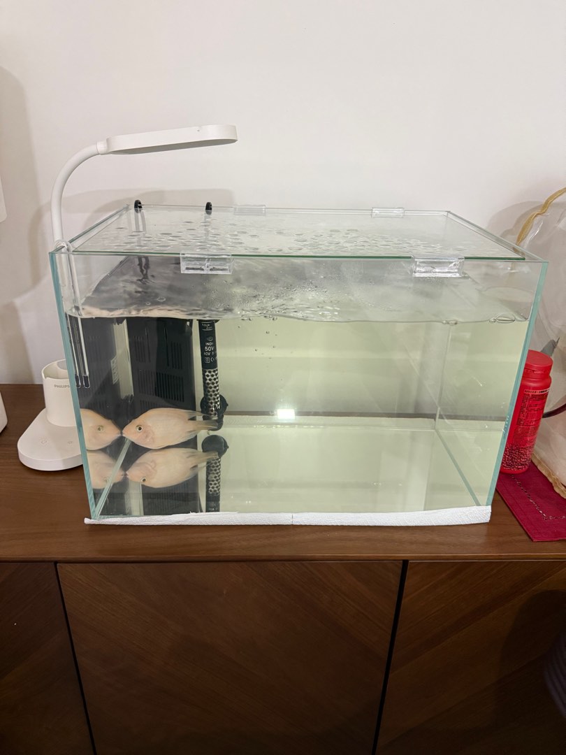 Fish Aquarium Complete Setup, Pet Supplies, Homes & Other Pet ...