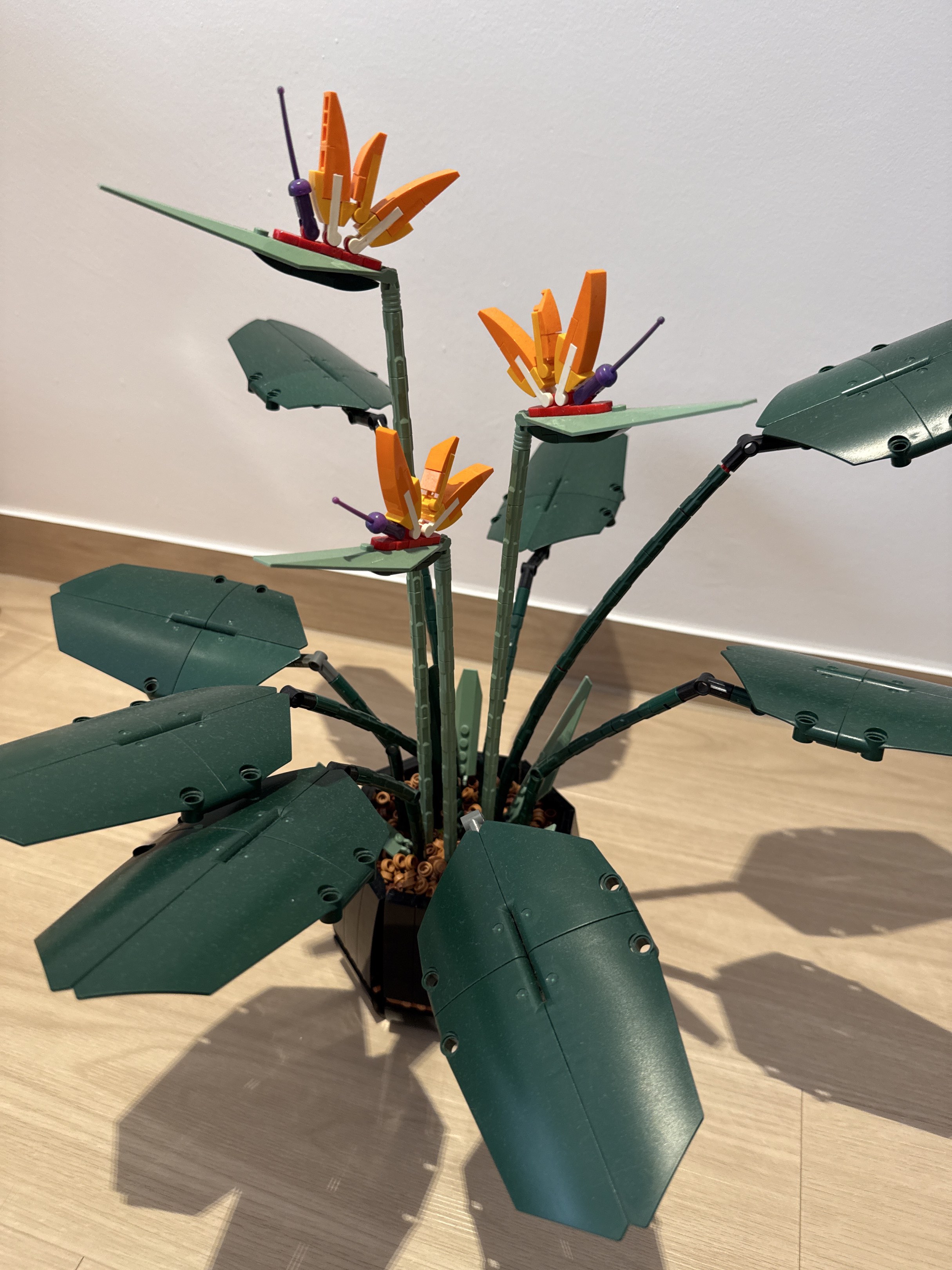 Lego Birds of Paradise, Hobbies & Toys, Toys & Games on Carousell