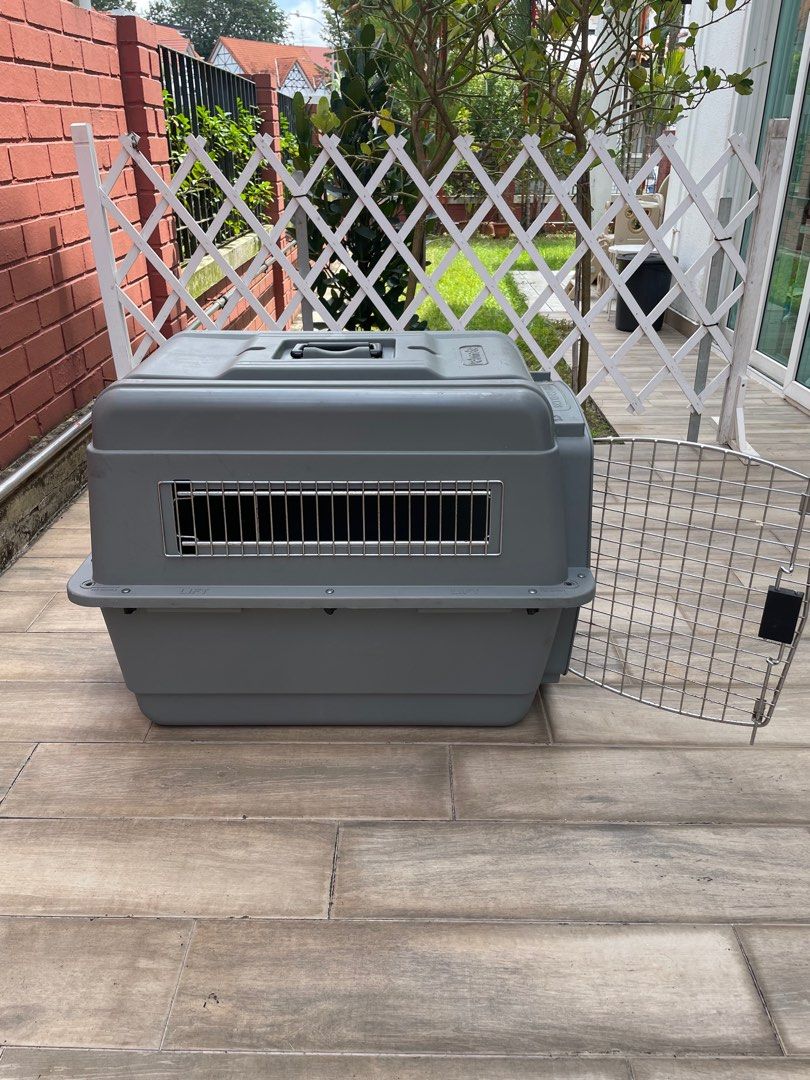 Petmate Sky Kennel Ultra, Pet Supplies, Homes & Other Pet Accessories ...