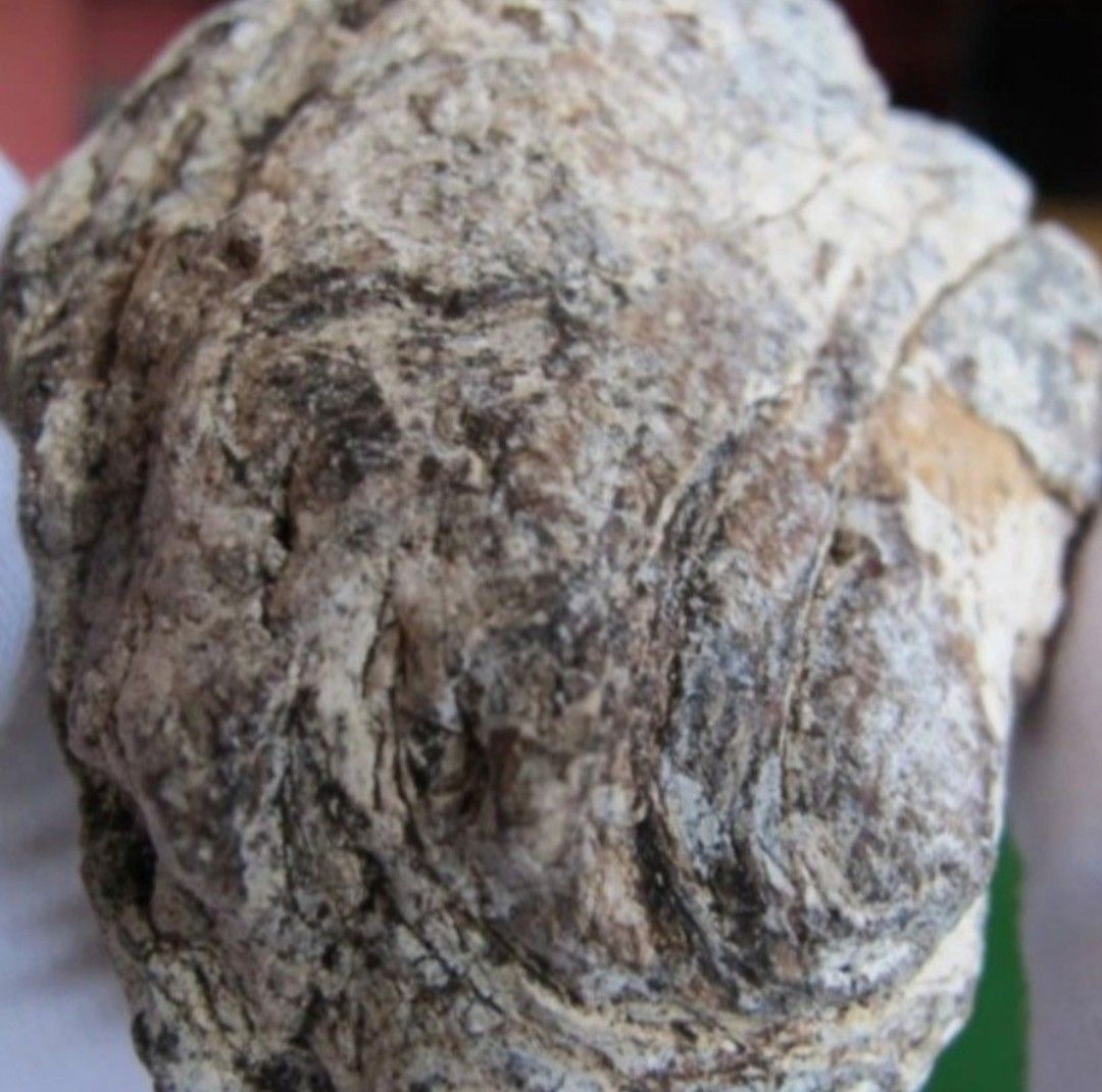 Pure White Golden Ambergris Oil, Beauty & Personal Care, Fragrance ...