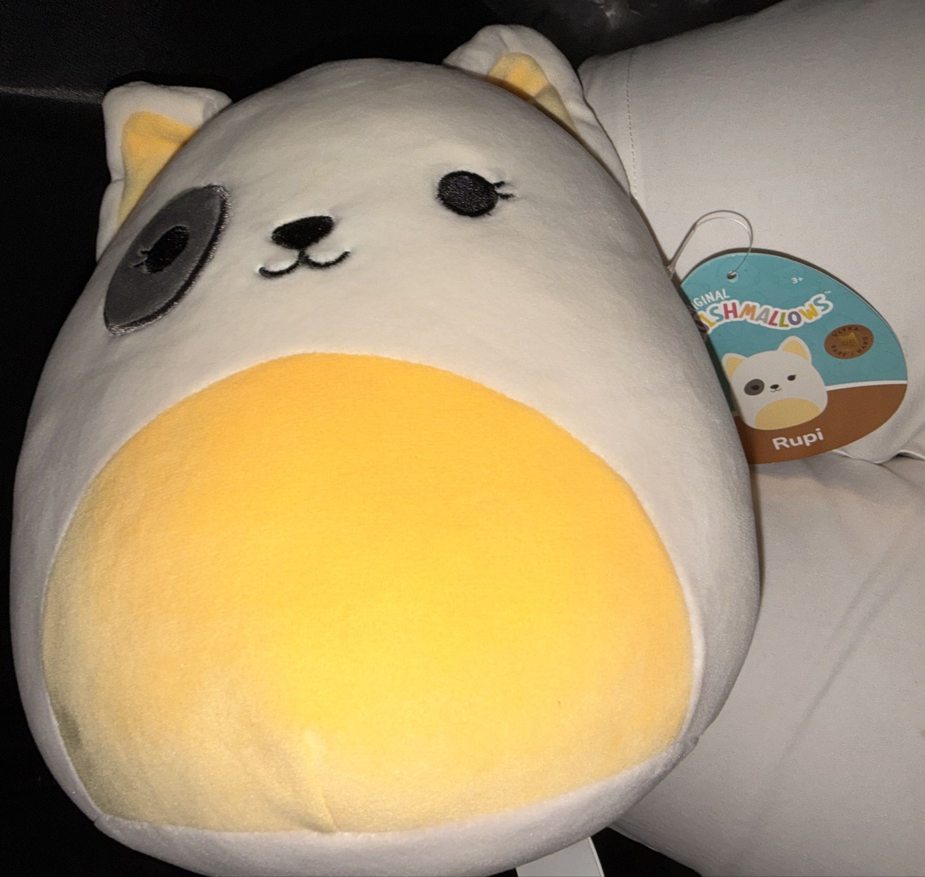 Ultra rare Squishmallows Rupi the Dog Plush Toy, Hobbies & Toys, Toys ...