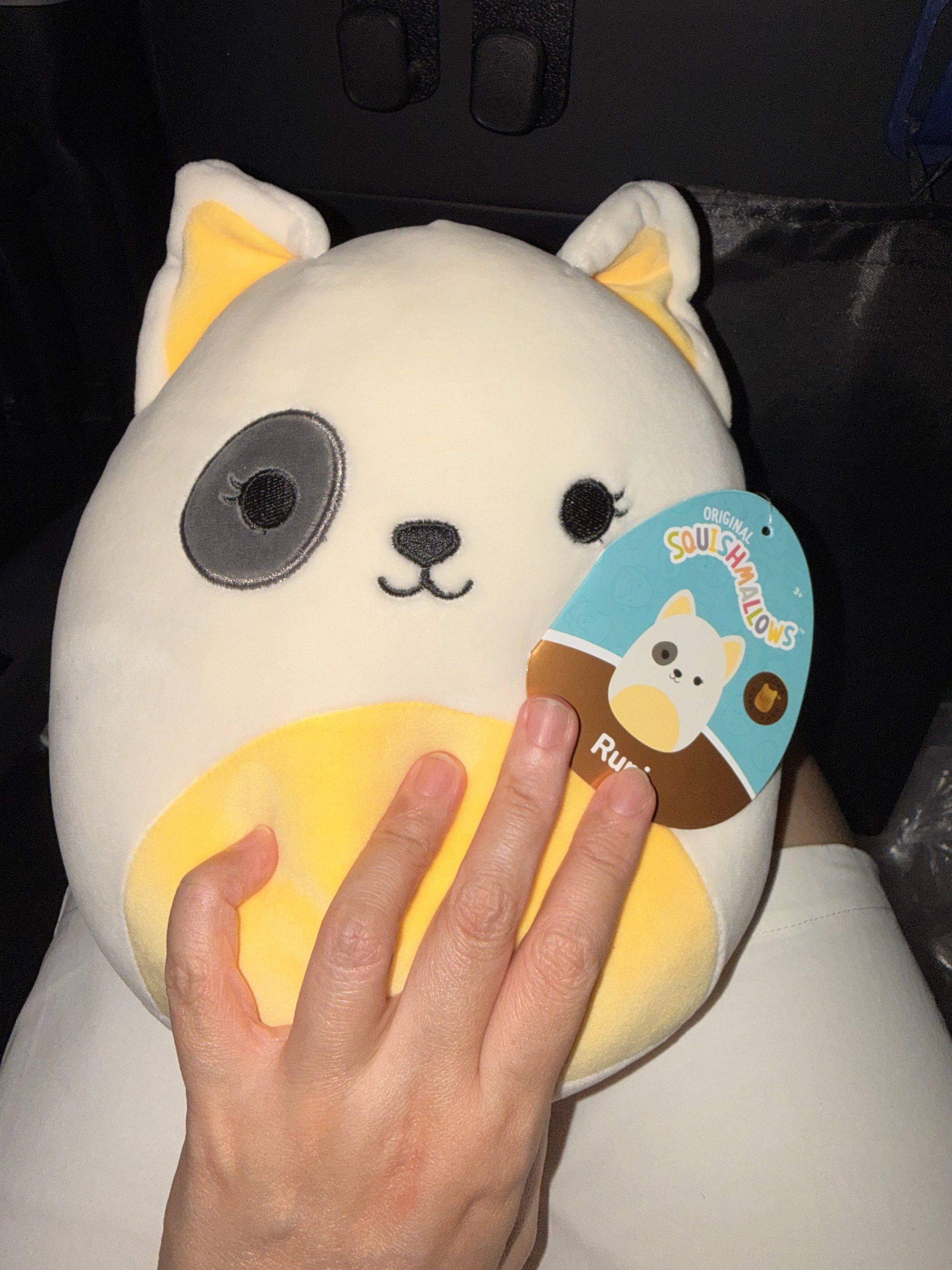 Ultra rare Squishmallows Rupi the Dog Plush Toy, Hobbies & Toys, Toys ...