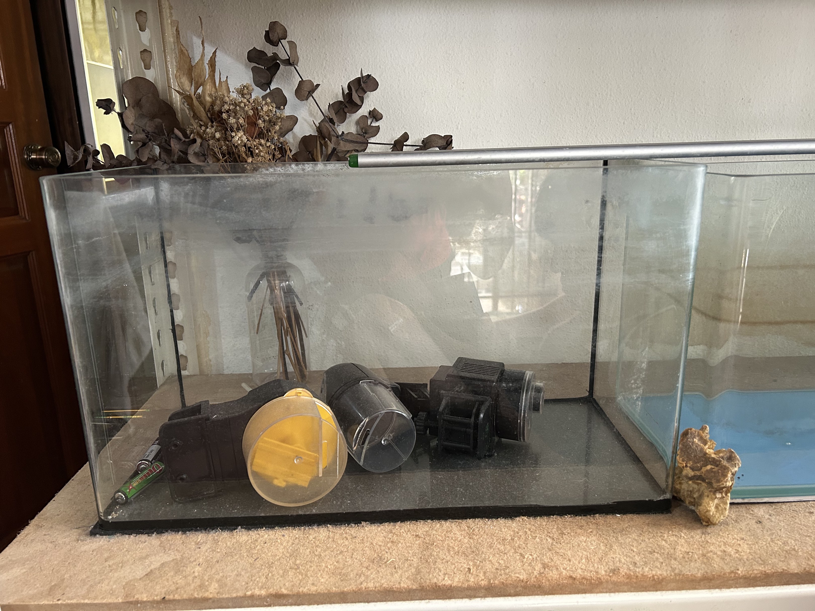 Used Glass Aquarium Tank with Accessories, Pet Supplies, Homes & Other ...