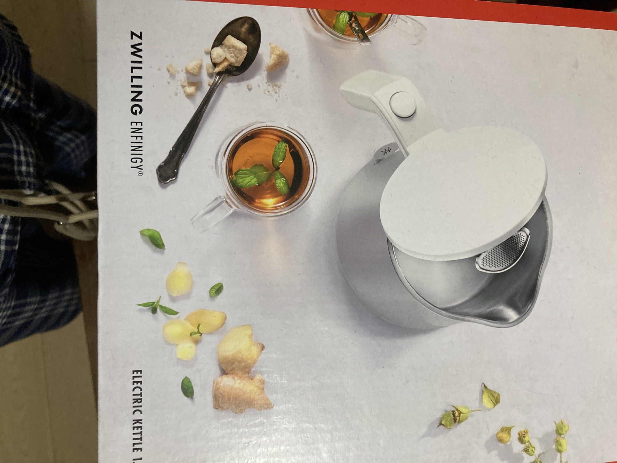 Zwilling ENFINIGY Electric Kettle 1.0L, 家庭電器, 廚房電器, 水壺 - Carousell