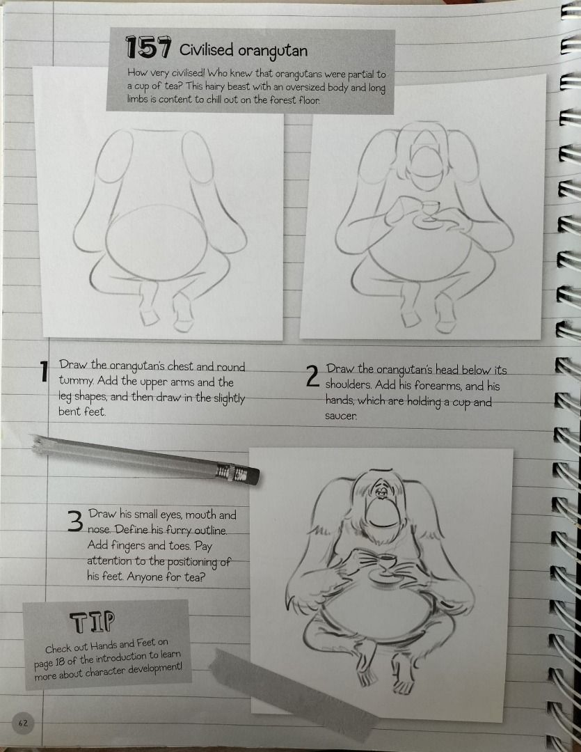 501 Things for the Quick Draw Kid - Drawing Book, Hobbies & Toys, Books ...