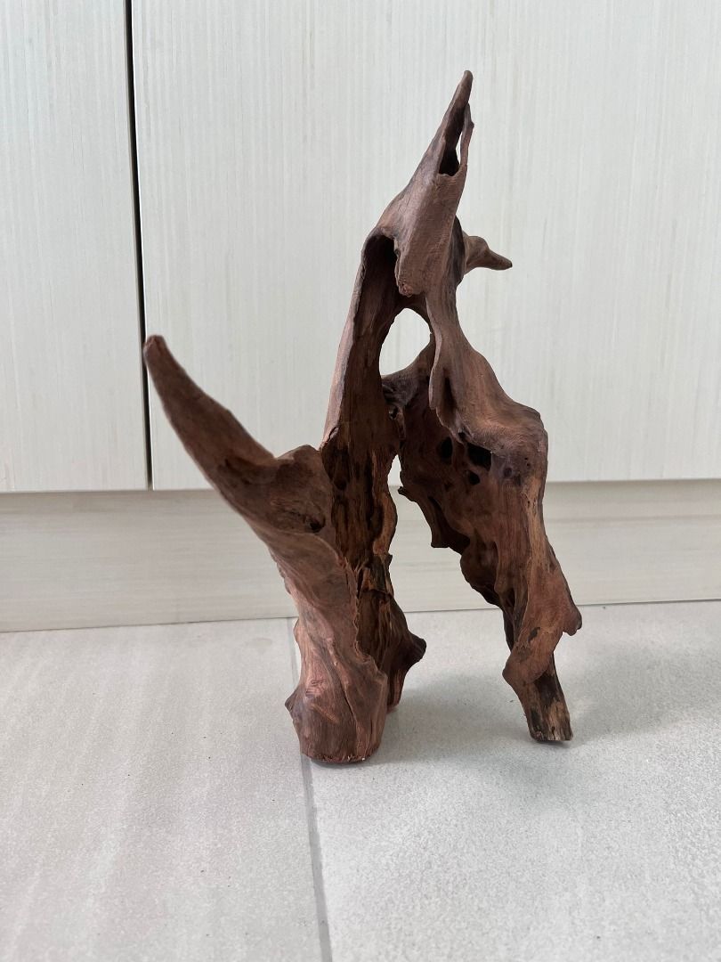 Aquarium Driftwood Fish Tank Altum Pleco Tetra Corydoras, Furniture ...