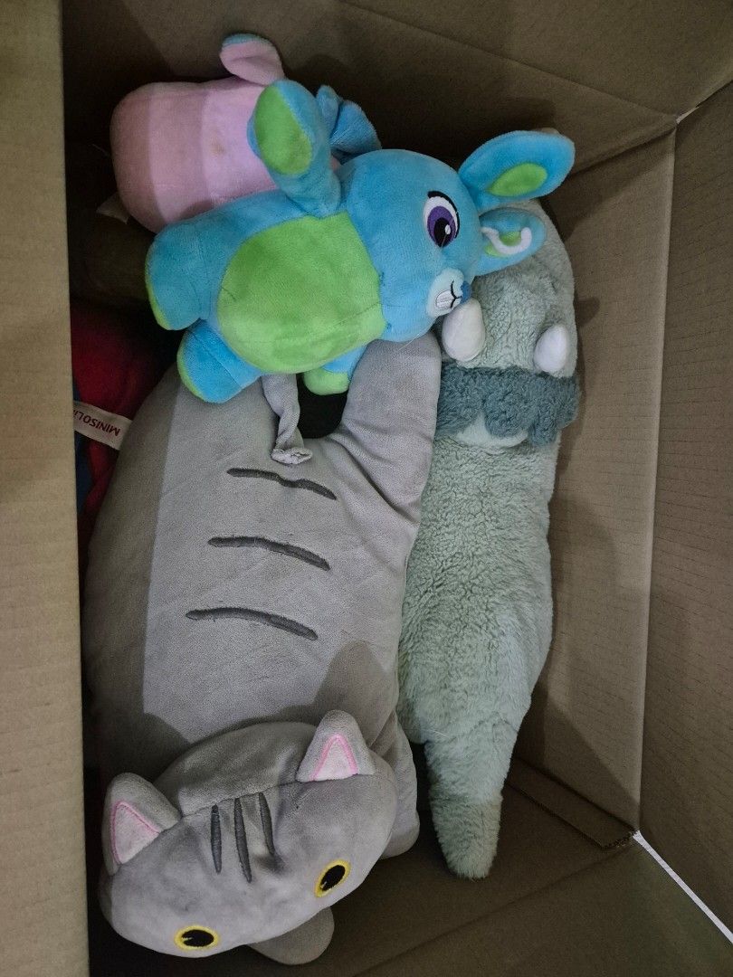 Assorted Plush Toys - Bunny, Cat, and More!, Hobbies & Toys, Toys ...