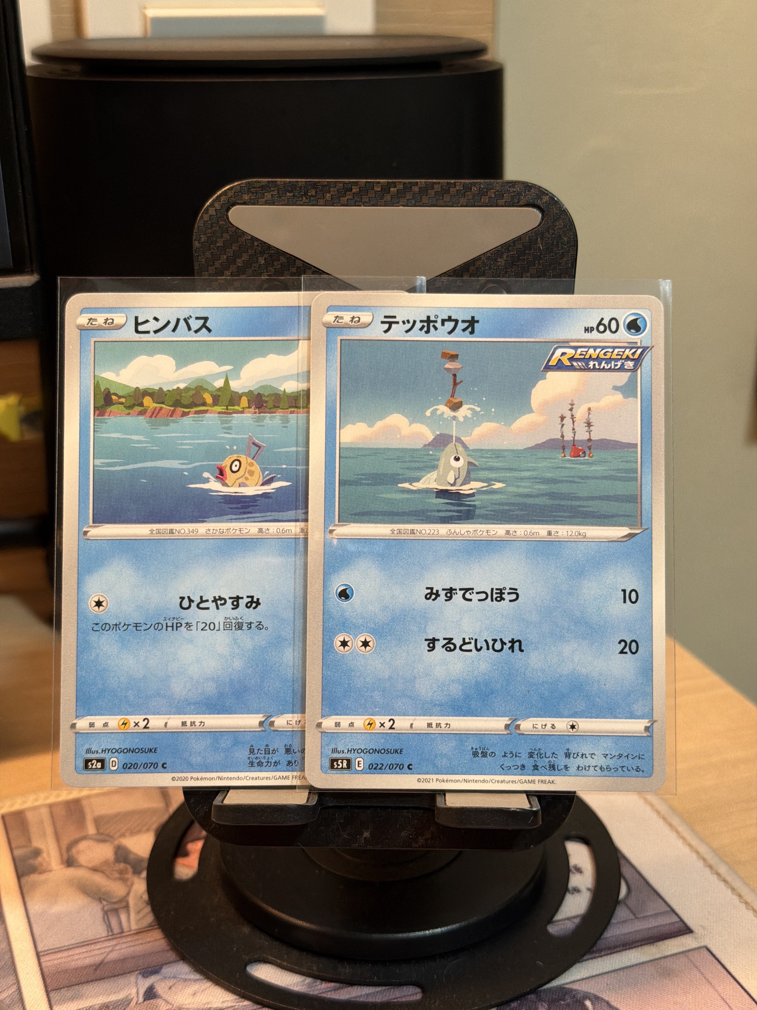 Feebas and Remoraid HYOGONOSUKE Art Set, Hobbies & Toys, Toys & Games ...