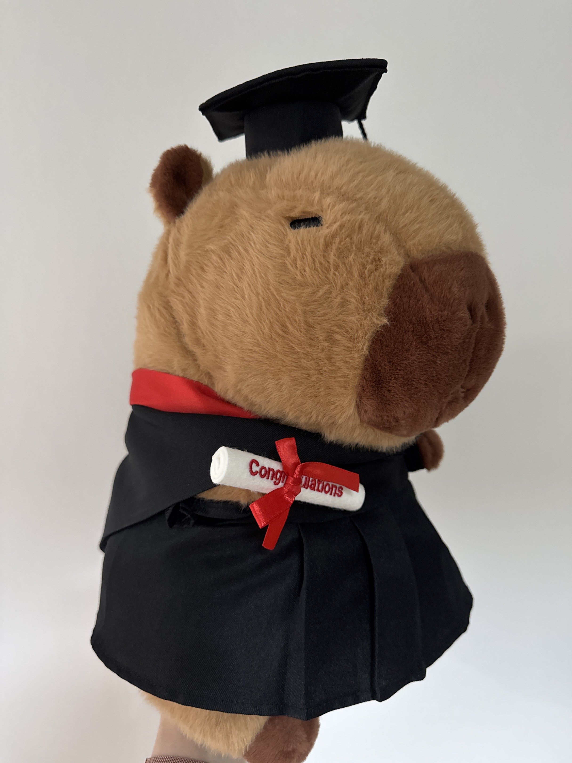 Graduation Capybara Plushie, Hobbies & Toys, Toys & Games on Carousell