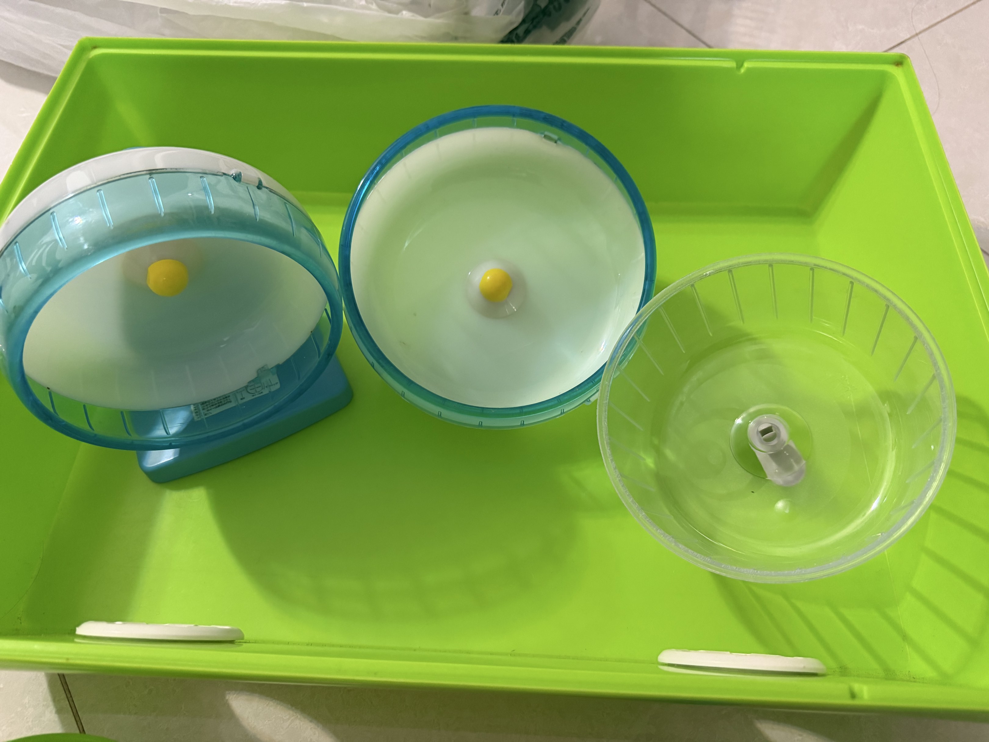 Hamster Wheel Set - Blue and Transparent, Pet Supplies, Homes & Other ...