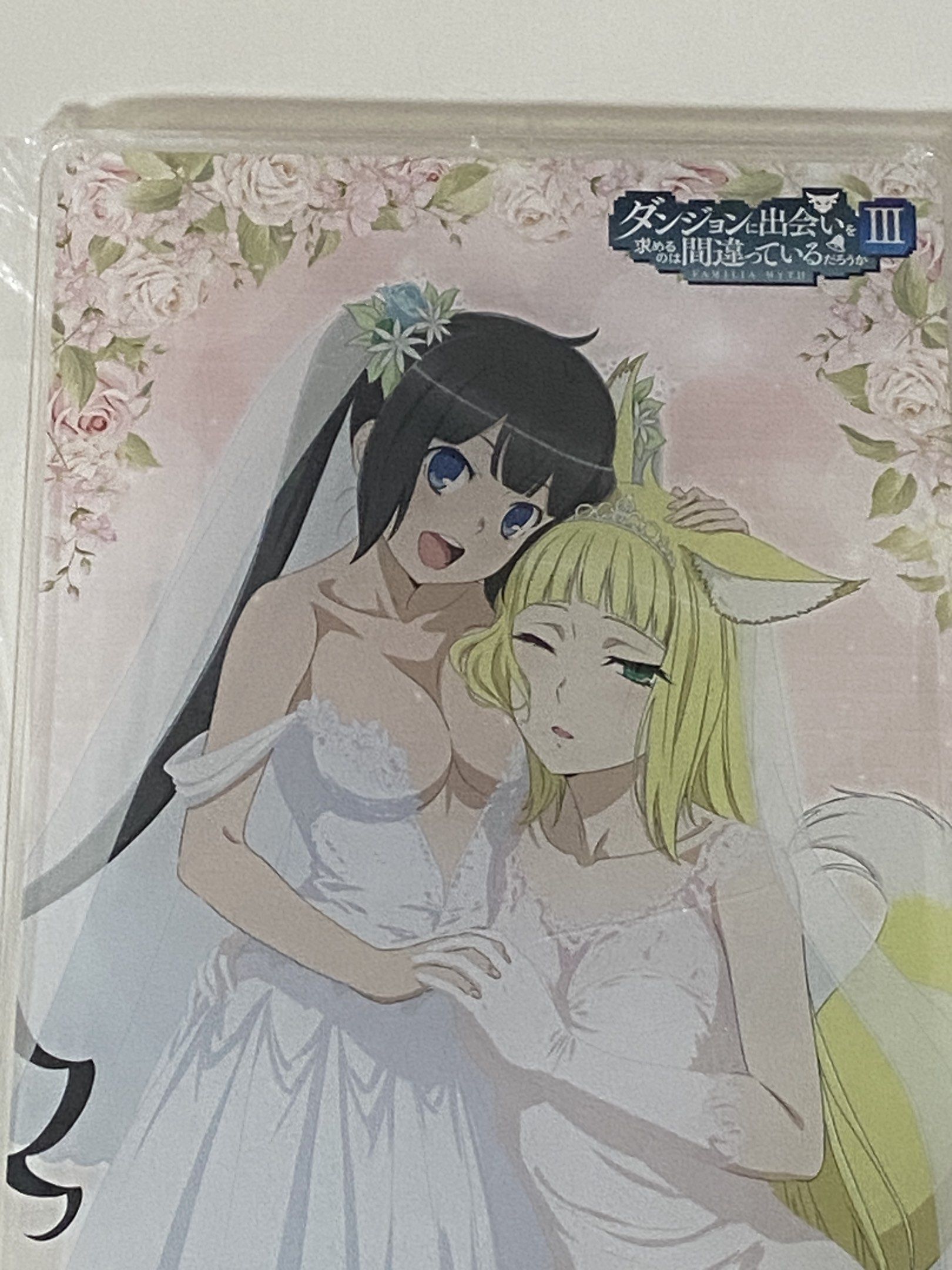 Is It Wrong to Try to Pick Up Girls in a Dungeon? Hestia and Sanjono ...