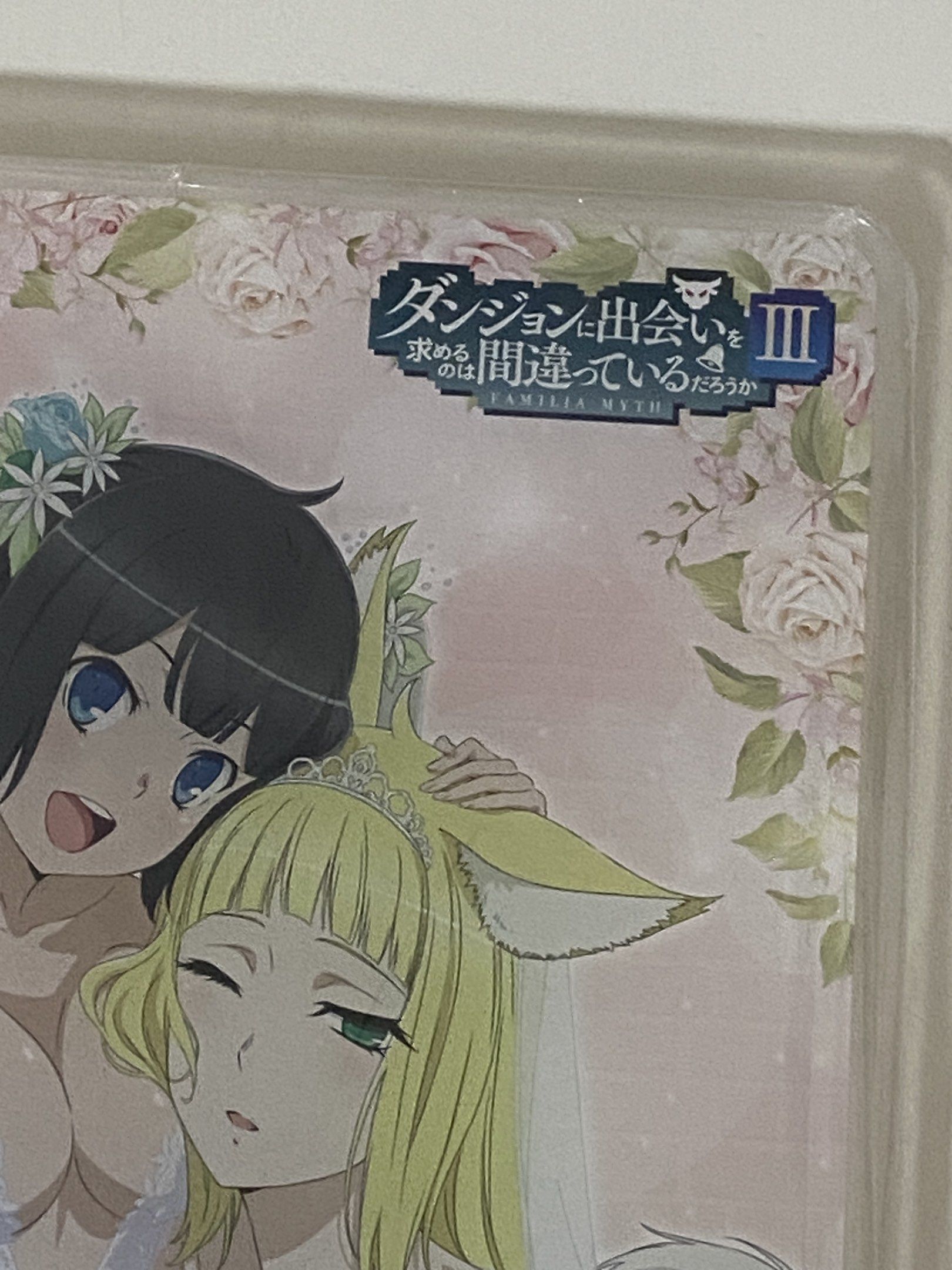 Is It Wrong to Try to Pick Up Girls in a Dungeon? Hestia and Sanjono ...