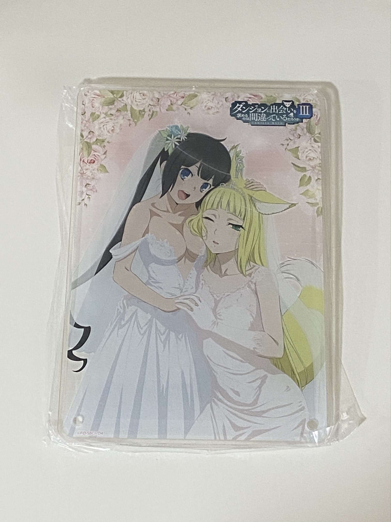 Is It Wrong to Try to Pick Up Girls in a Dungeon? Hestia and Sanjono ...