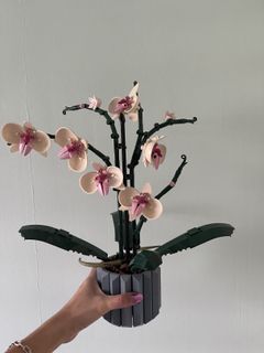 LEGO Botanical Collection Mini Orchid Set 10343, Hobbies & Toys, Toys ...