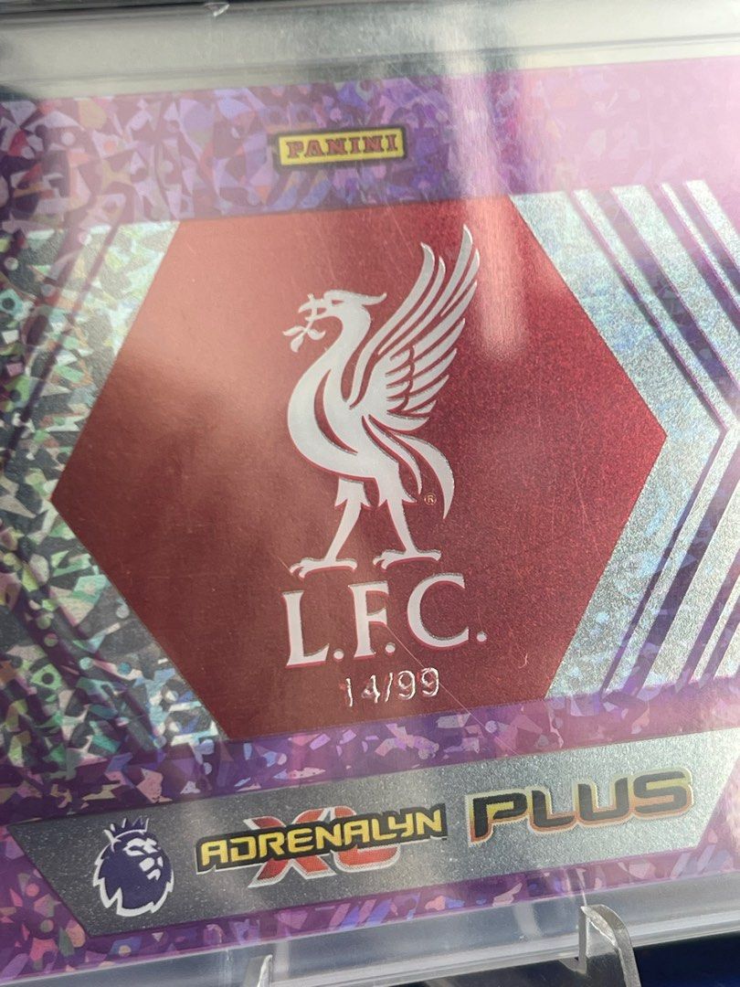 Limited Edition LIVERPOOL FC Club Crest (14/99), Hobbies & Toys, Toys ...