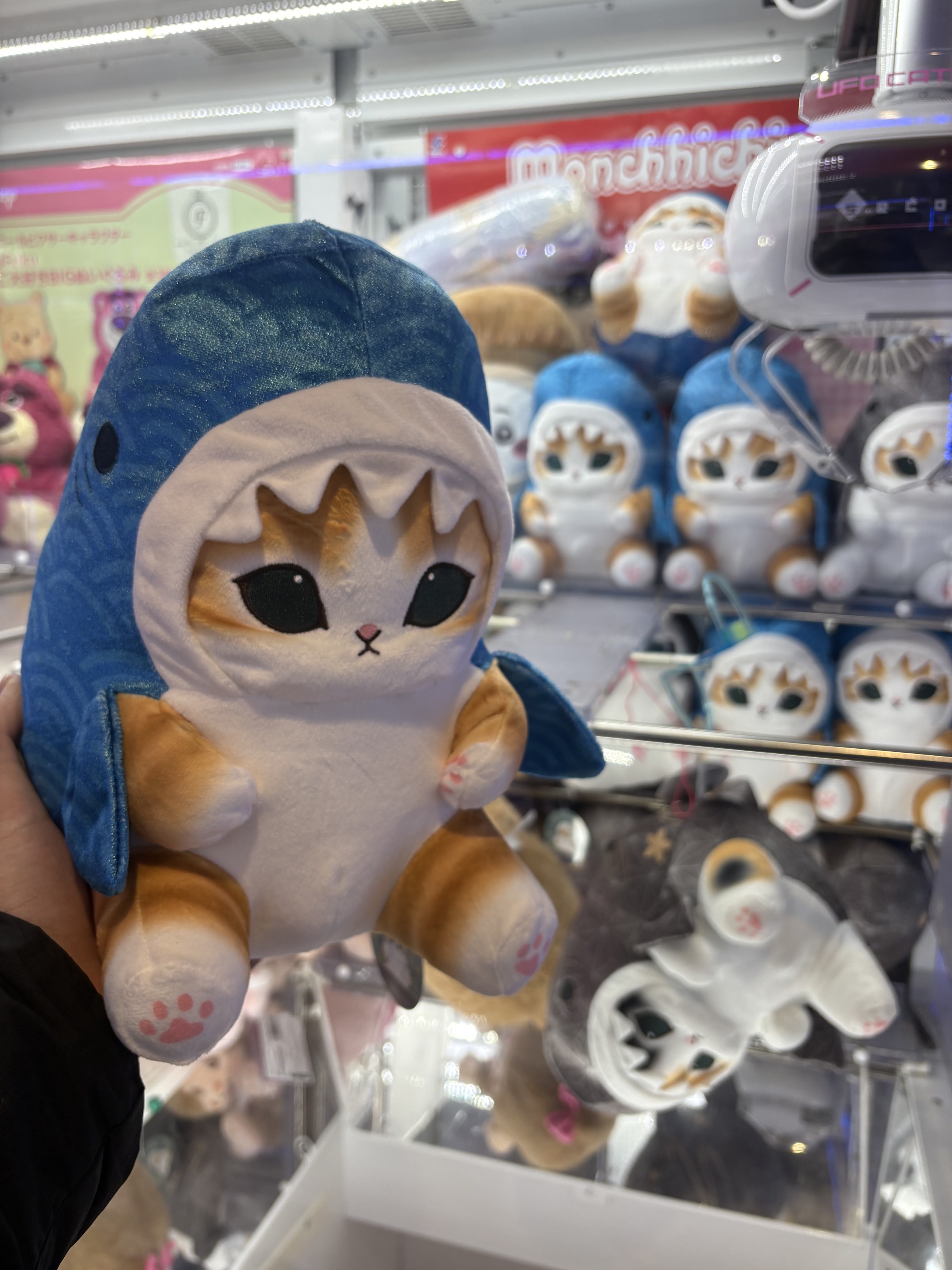 Mofusand Shark Cat plushie, Hobbies & Toys, Toys & Games on Carousell